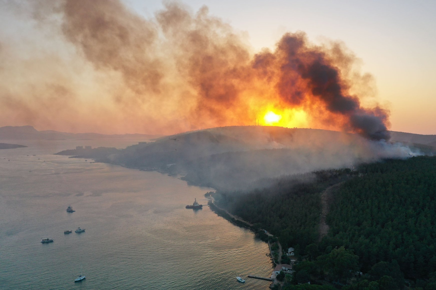 Forest fires hit Turkey's coastal resort areas | Daily Sabah