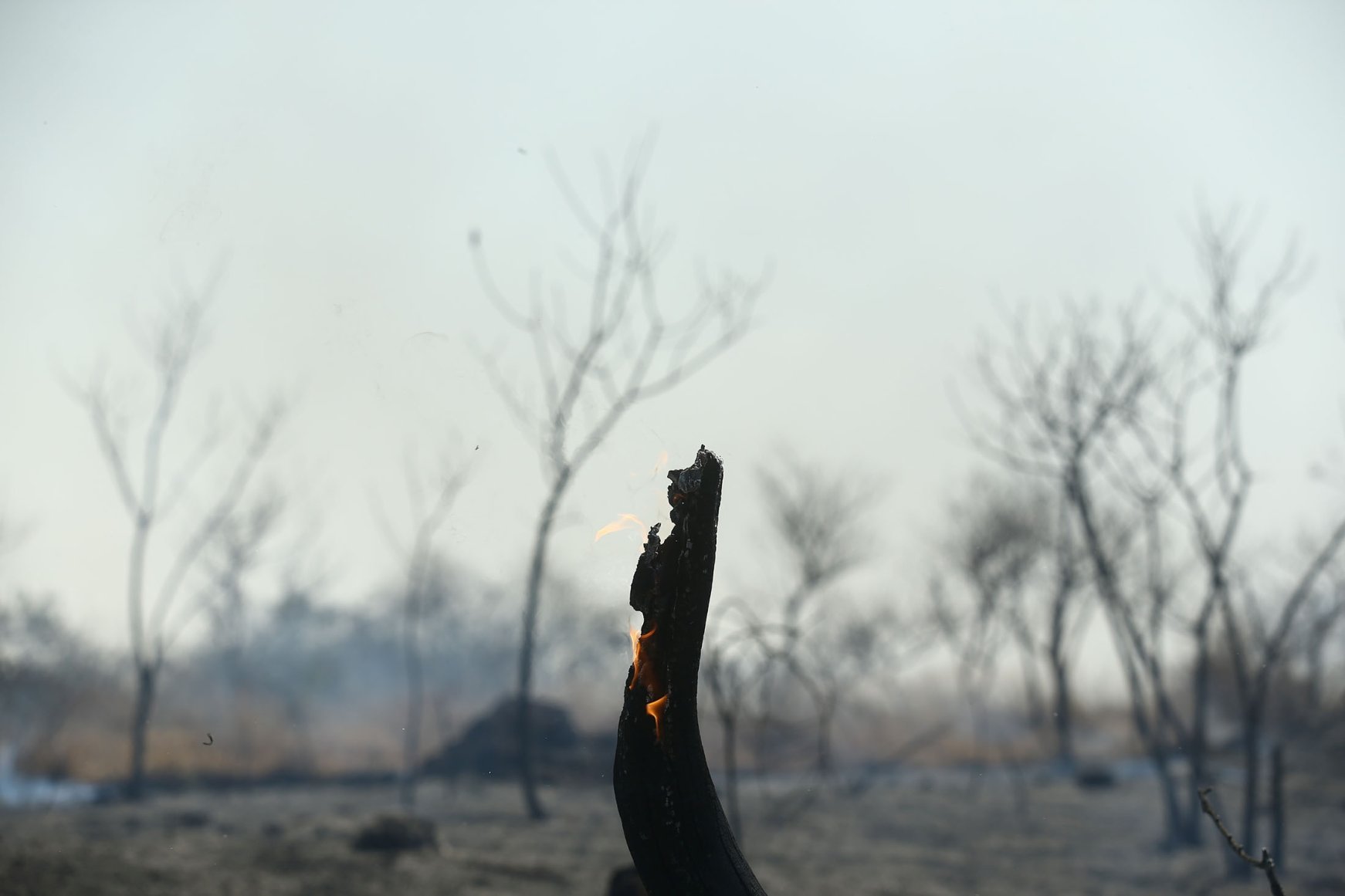 Devastating fire in Sao Paulo caused by illegal fire lantern | Daily Sabah