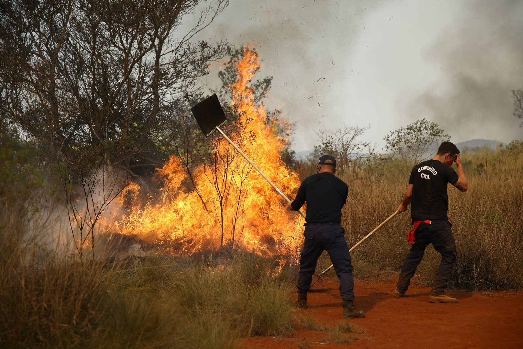 Devastating fire in Sao Paulo caused by illegal fire lantern | Daily Sabah