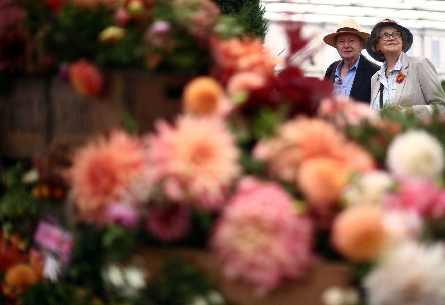 In photos: RHS Chelsea Flower Show in full bloom | Daily Sabah