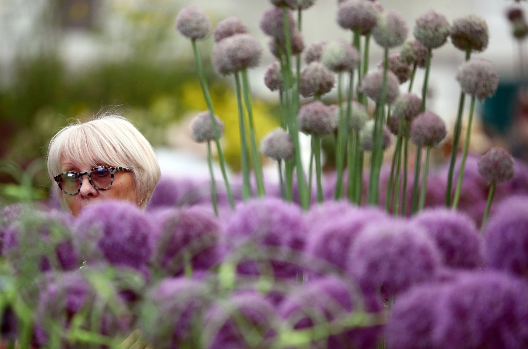 In photos: RHS Chelsea Flower Show in full bloom | Daily Sabah