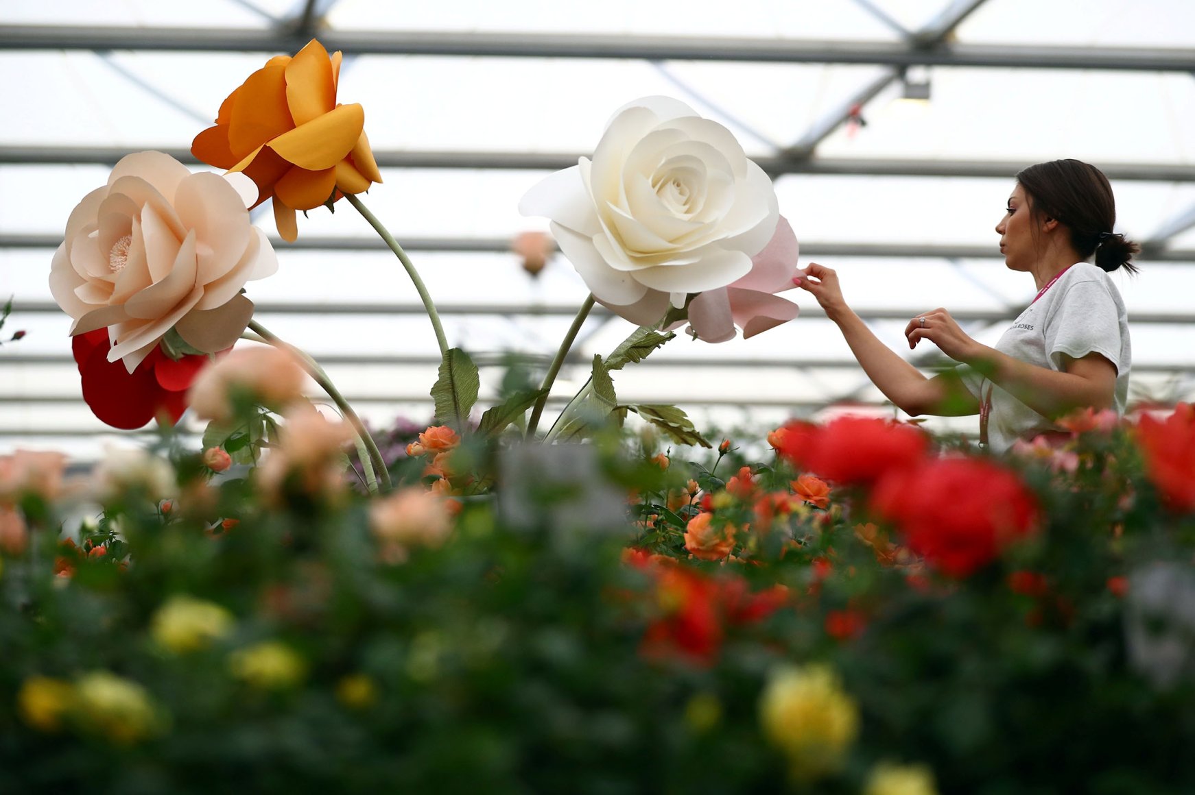 In photos: RHS Chelsea Flower Show in full bloom | Daily Sabah