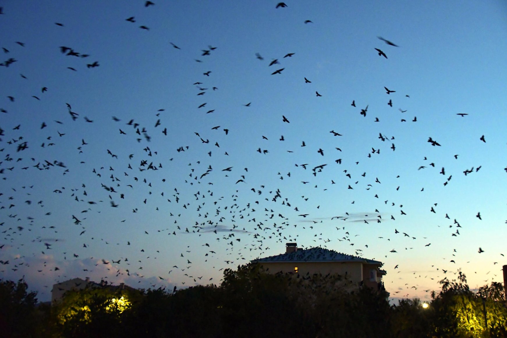 Birds and butterflies: Fall descends on Turkey’s Kars | Daily Sabah