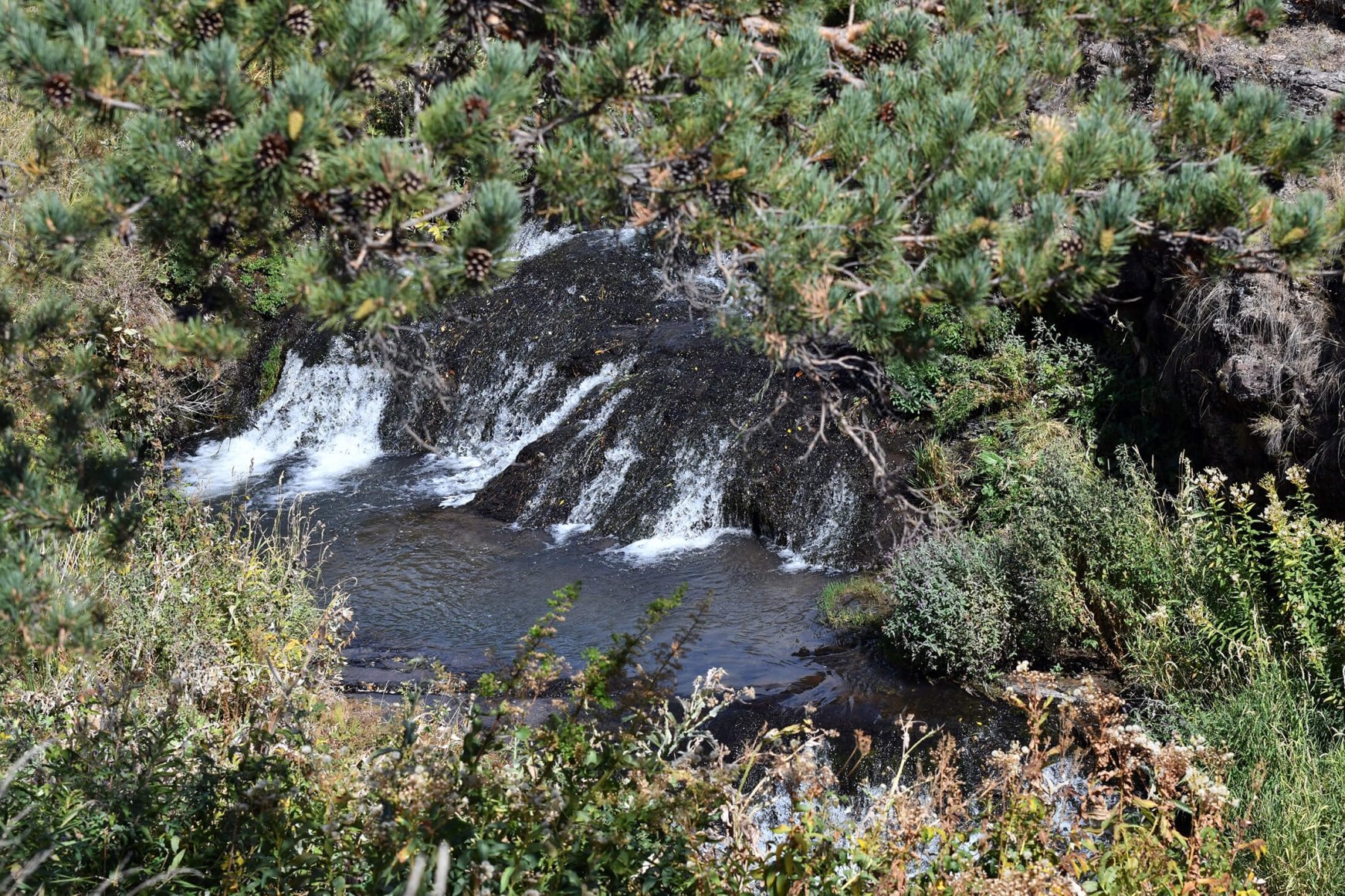 Birds and butterflies: Fall descends on Turkey’s Kars | Daily Sabah