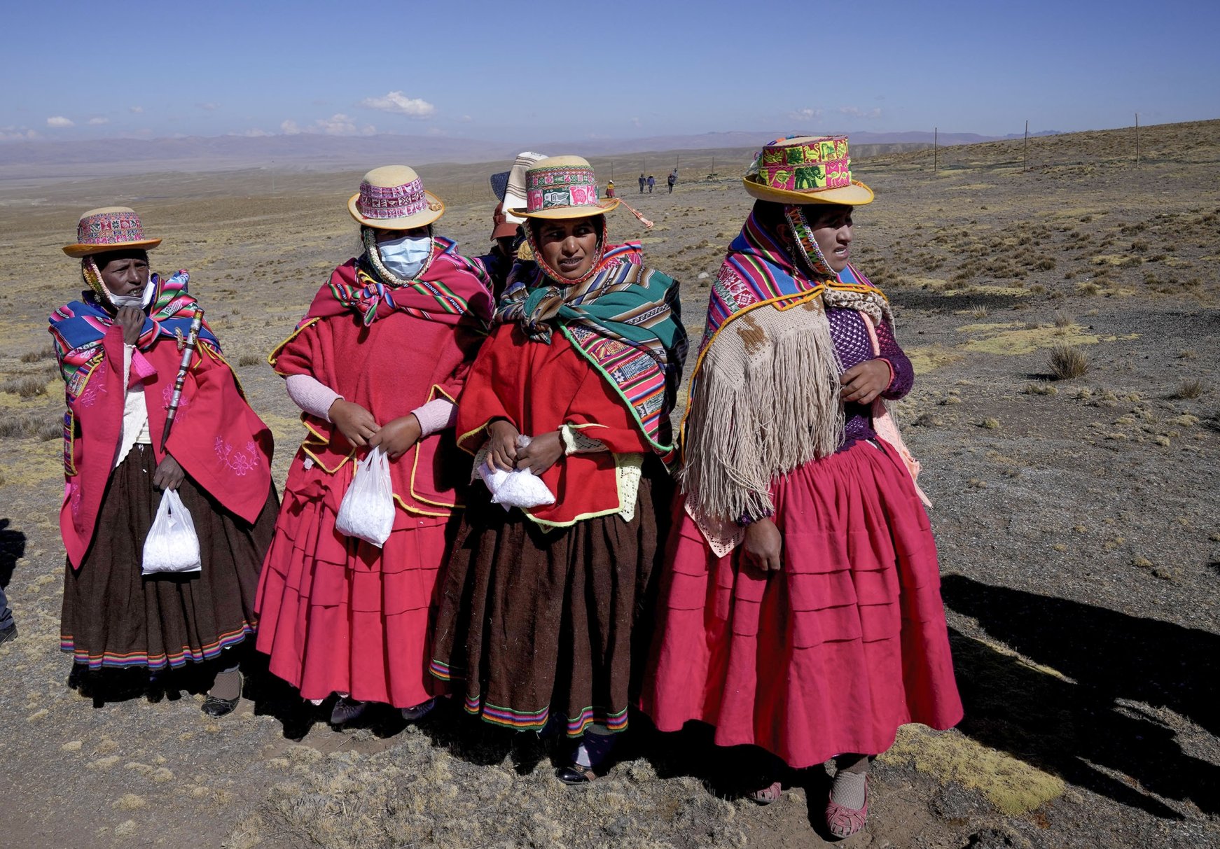 Herding, capturing and shearing of vicunas in Bolivia | Daily Sabah
