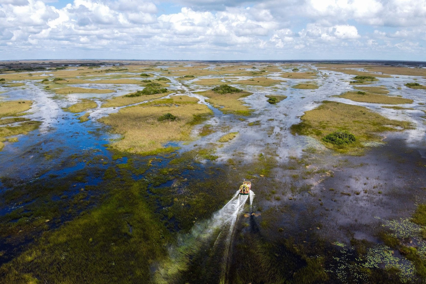 Climate change puts US' subtropical Everglades wetlands at risk | Daily ...