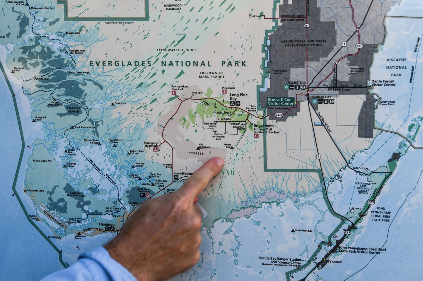Climate change puts US' subtropical Everglades wetlands at risk | Daily ...