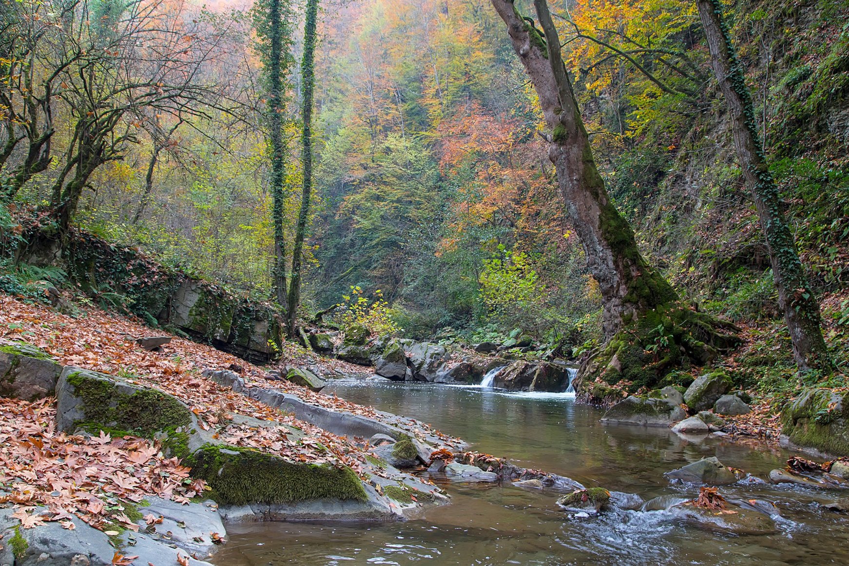 Pitch a tent at these stunning campsites in Turkey this fall | Daily Sabah