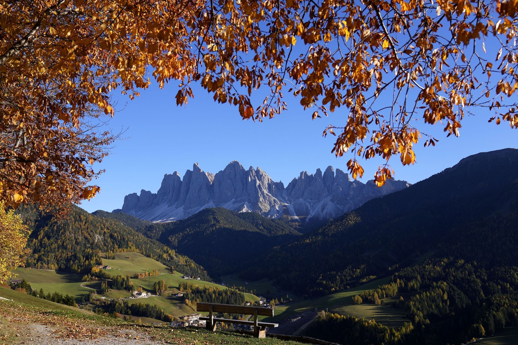 Breathtaking fall colors around the world | Daily Sabah
