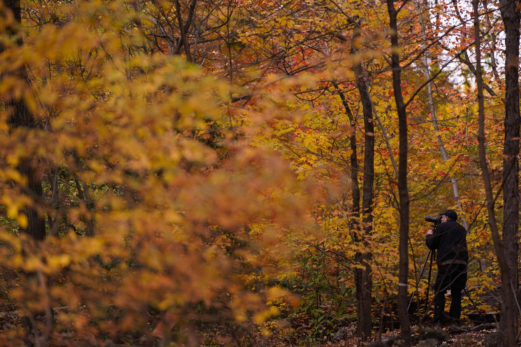 Breathtaking fall colors around the world | Daily Sabah