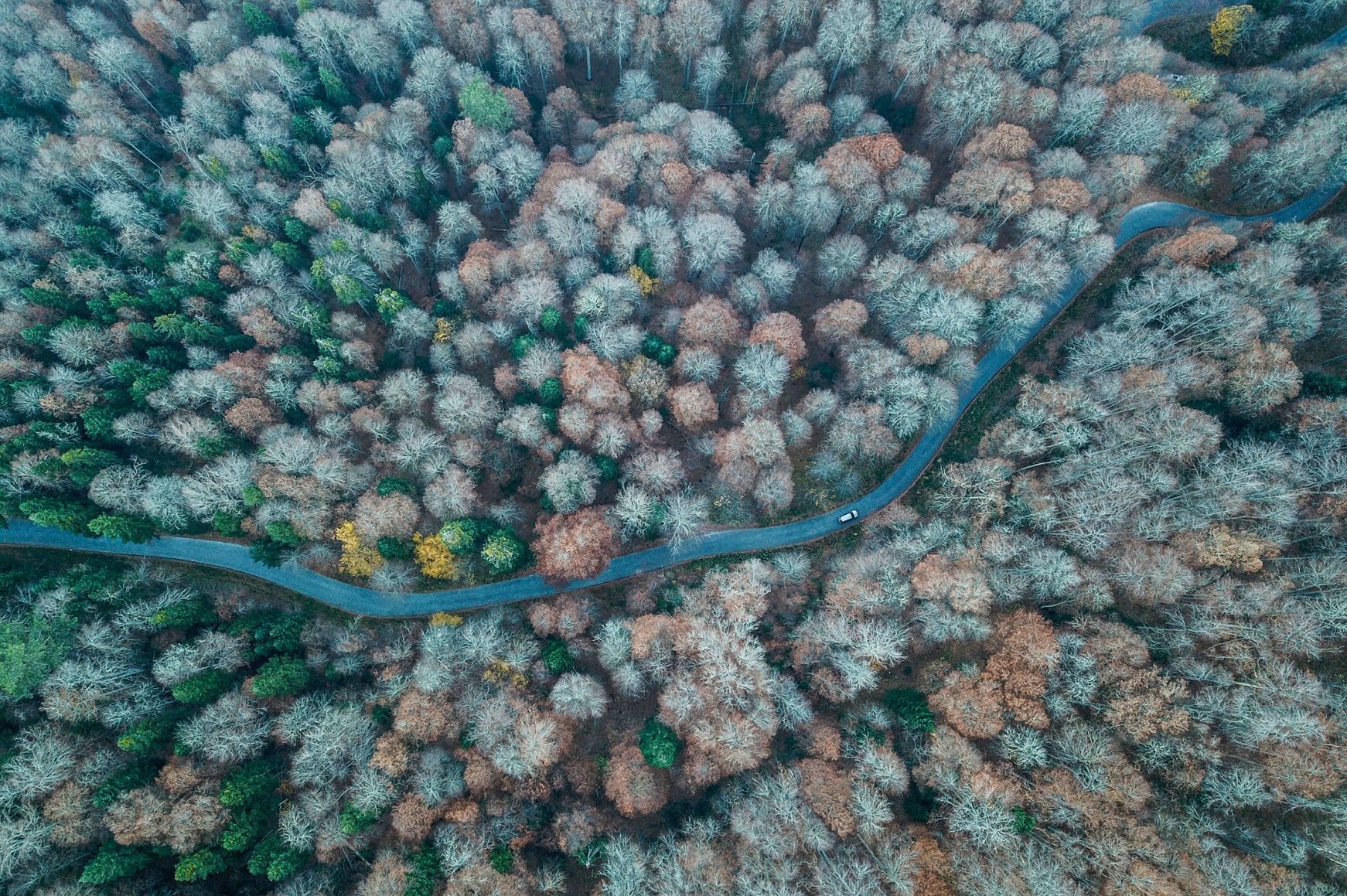 Breathtaking fall colors around the world | Daily Sabah