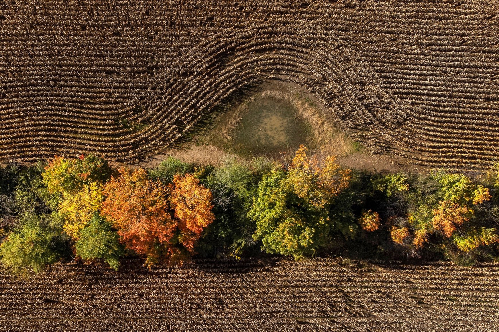 Breathtaking fall colors around the world | Daily Sabah