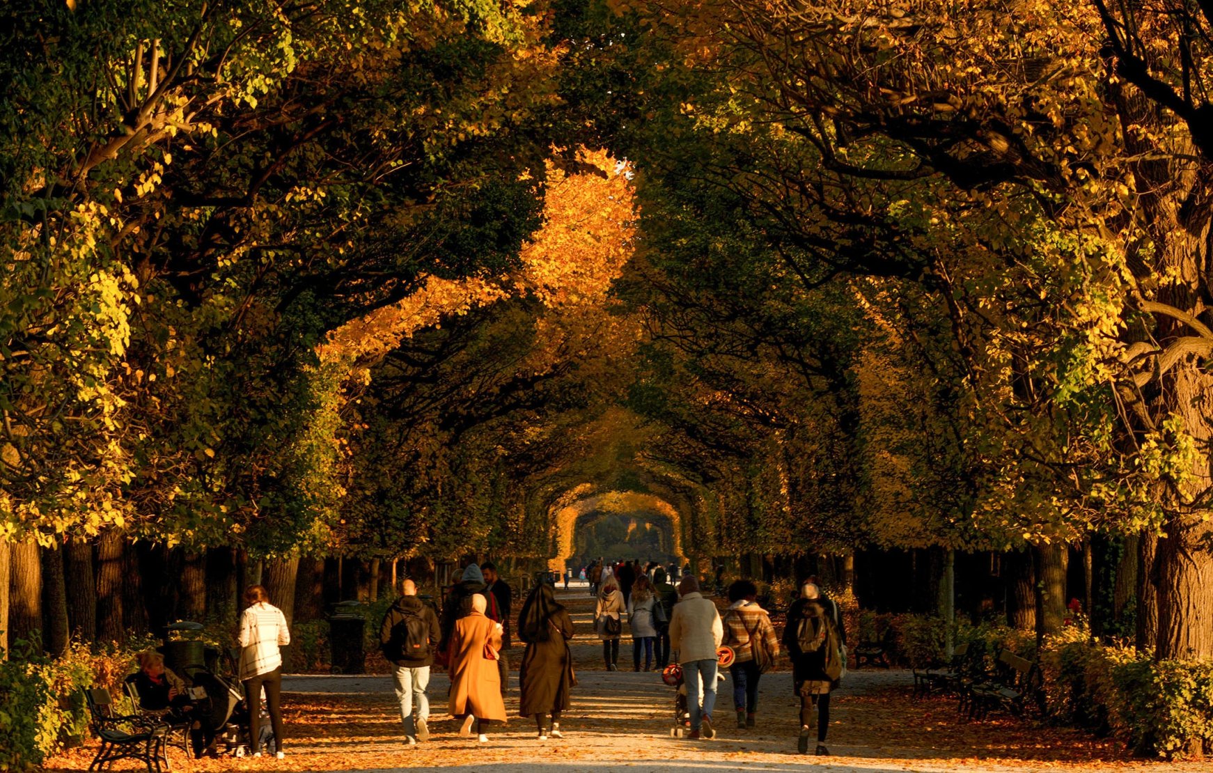 Breathtaking fall colors around the world | Daily Sabah