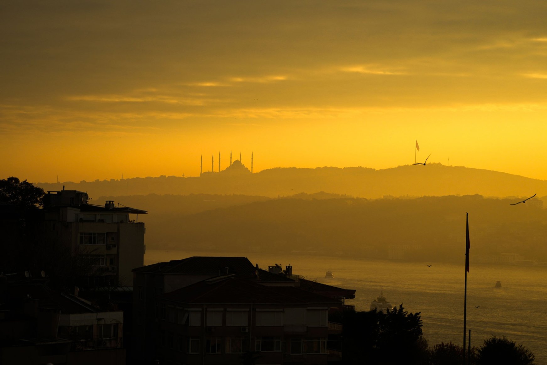 A day in Turkey's biggest city, Istanbul | Daily Sabah