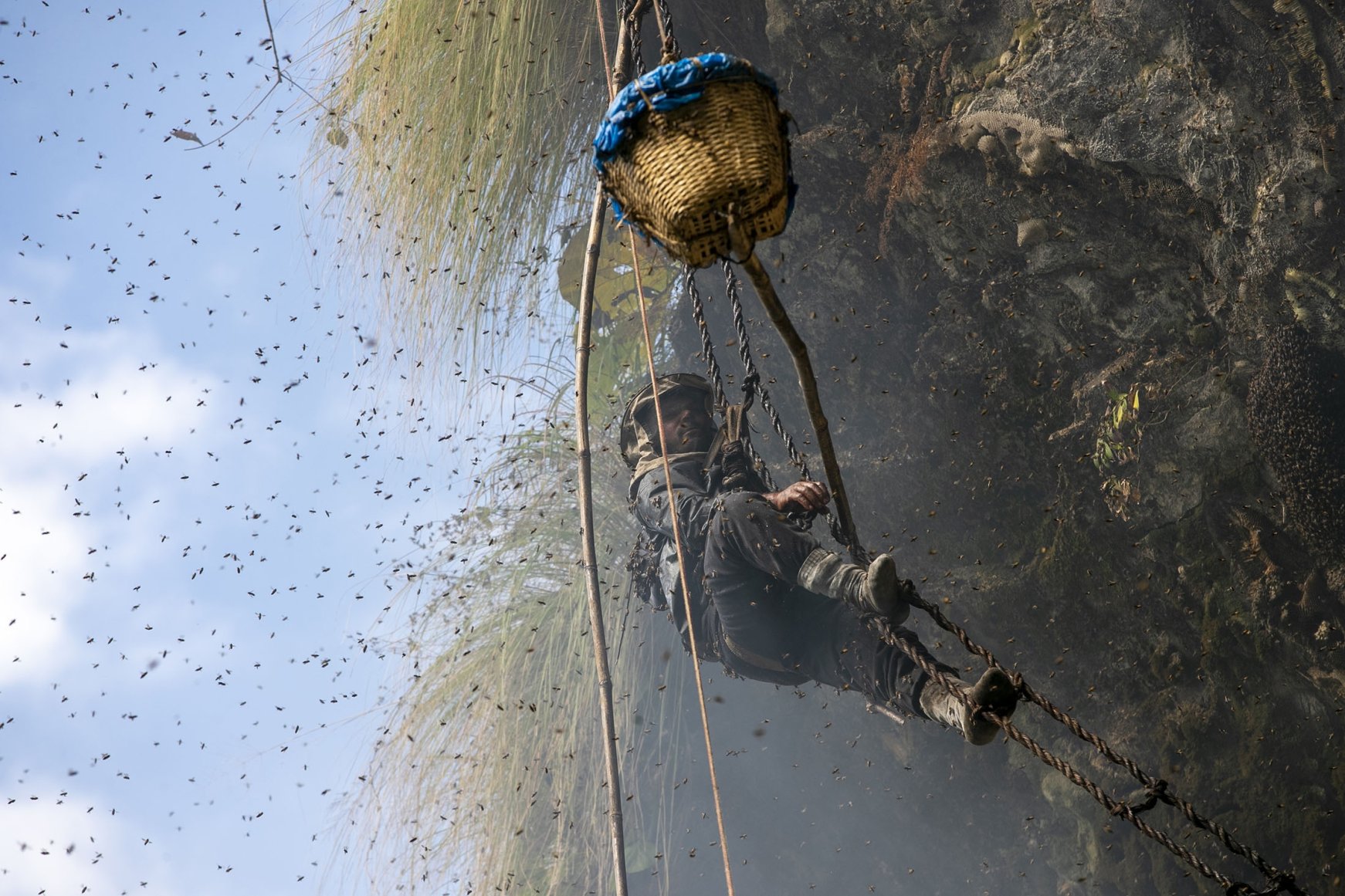 On the edge: Dangerous harvest of Nepal's wild cliff honey | Daily Sabah