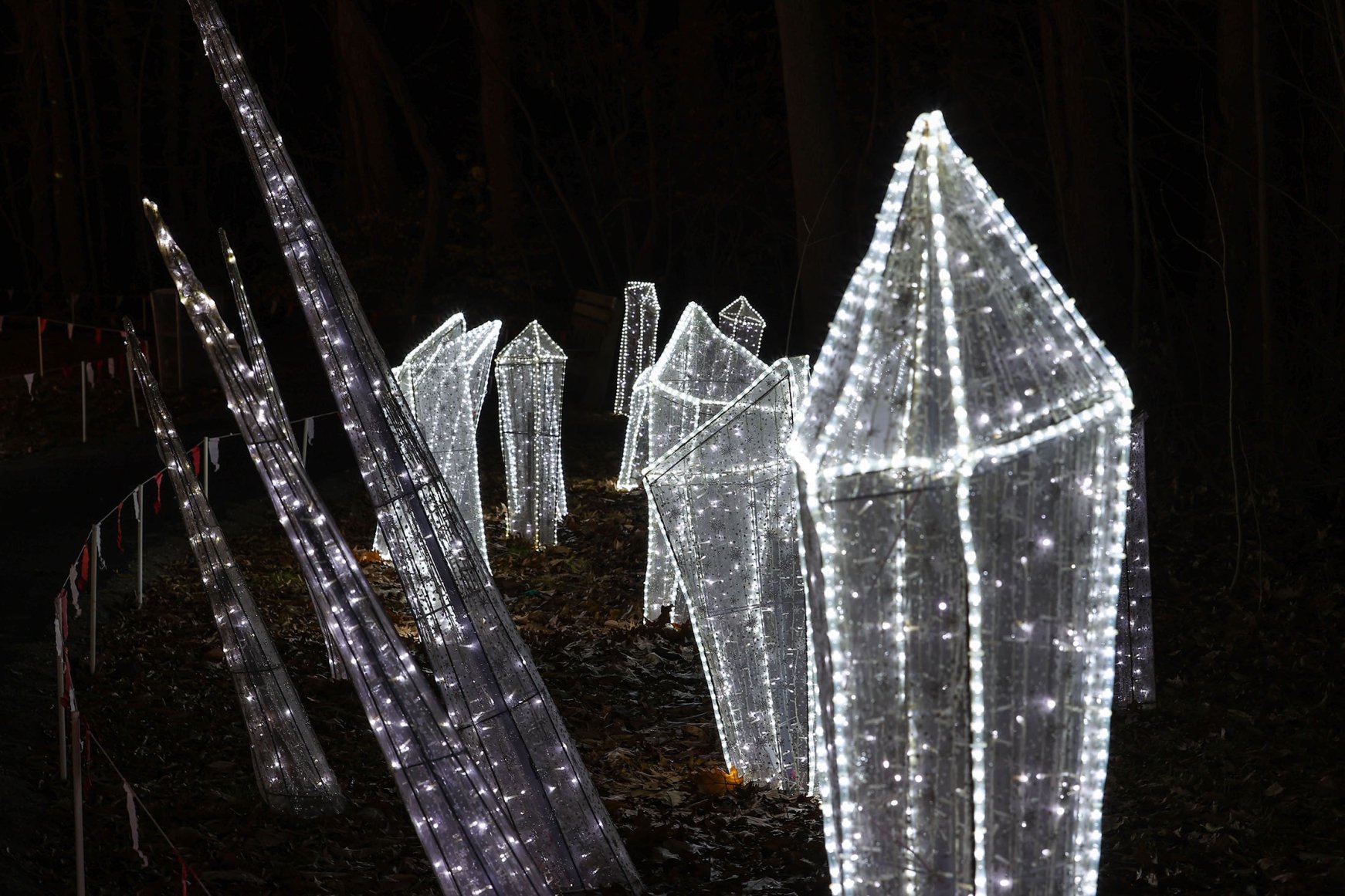 New York's Luminocity festival lights up with dreams and cuteness ...