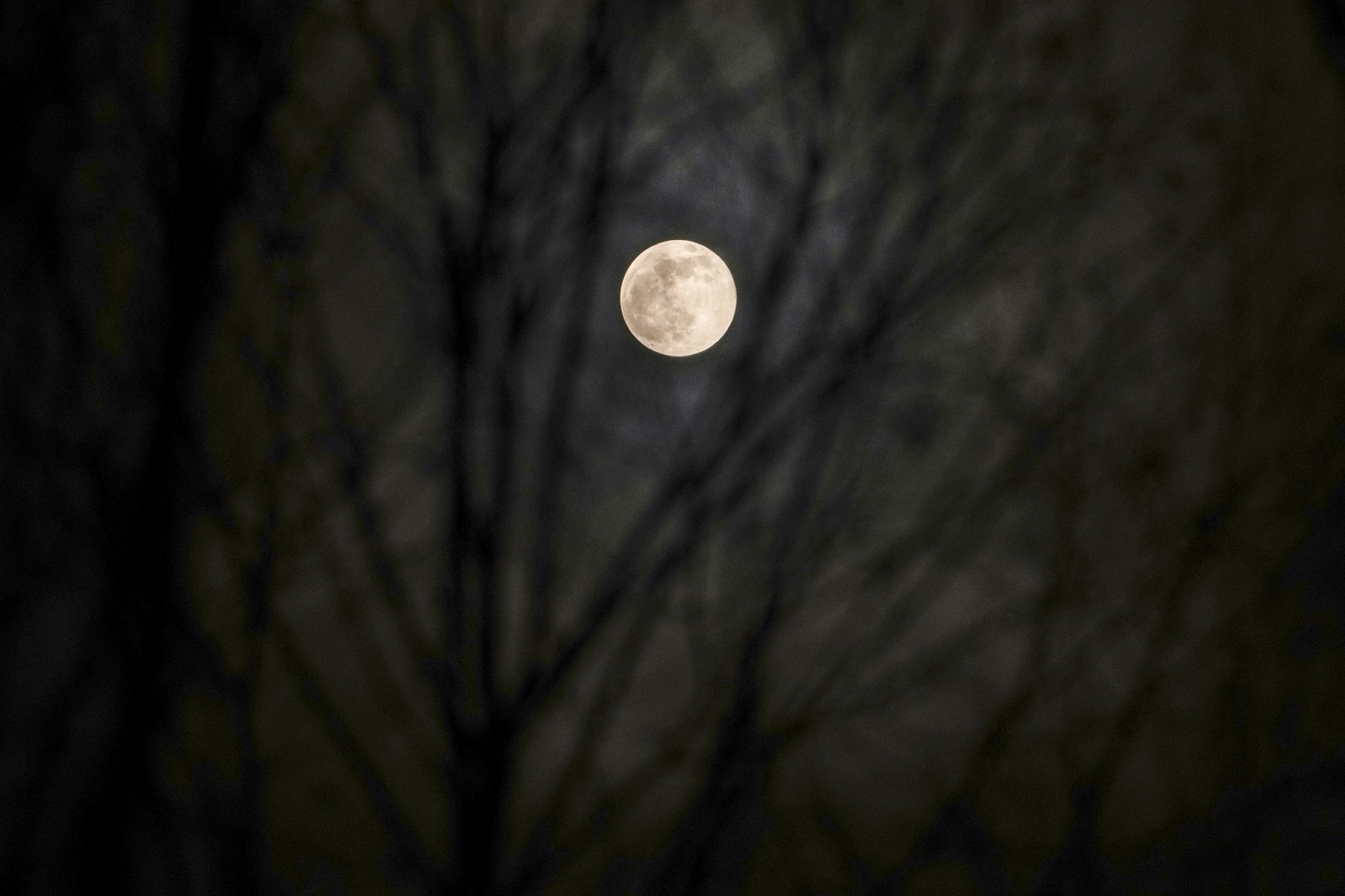 Cold moon illuminates night sky as 2021 nears its end | Daily Sabah