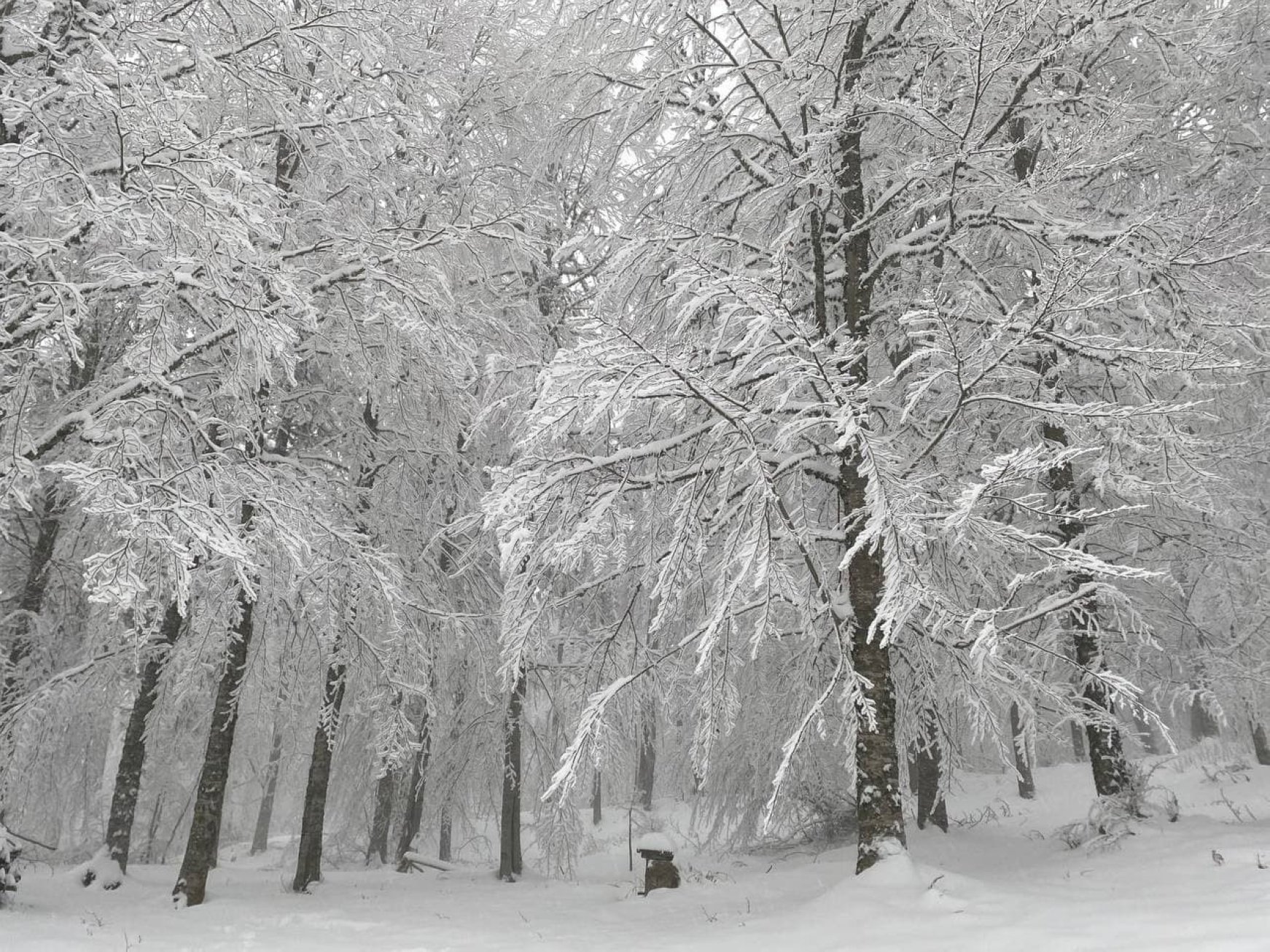 Snow turns Turkey into winter spectacle | Daily Sabah