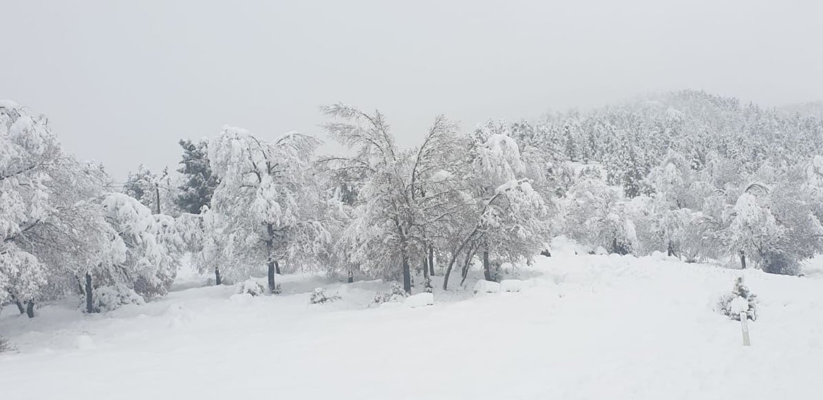 Snow turns Turkey into winter spectacle | Daily Sabah