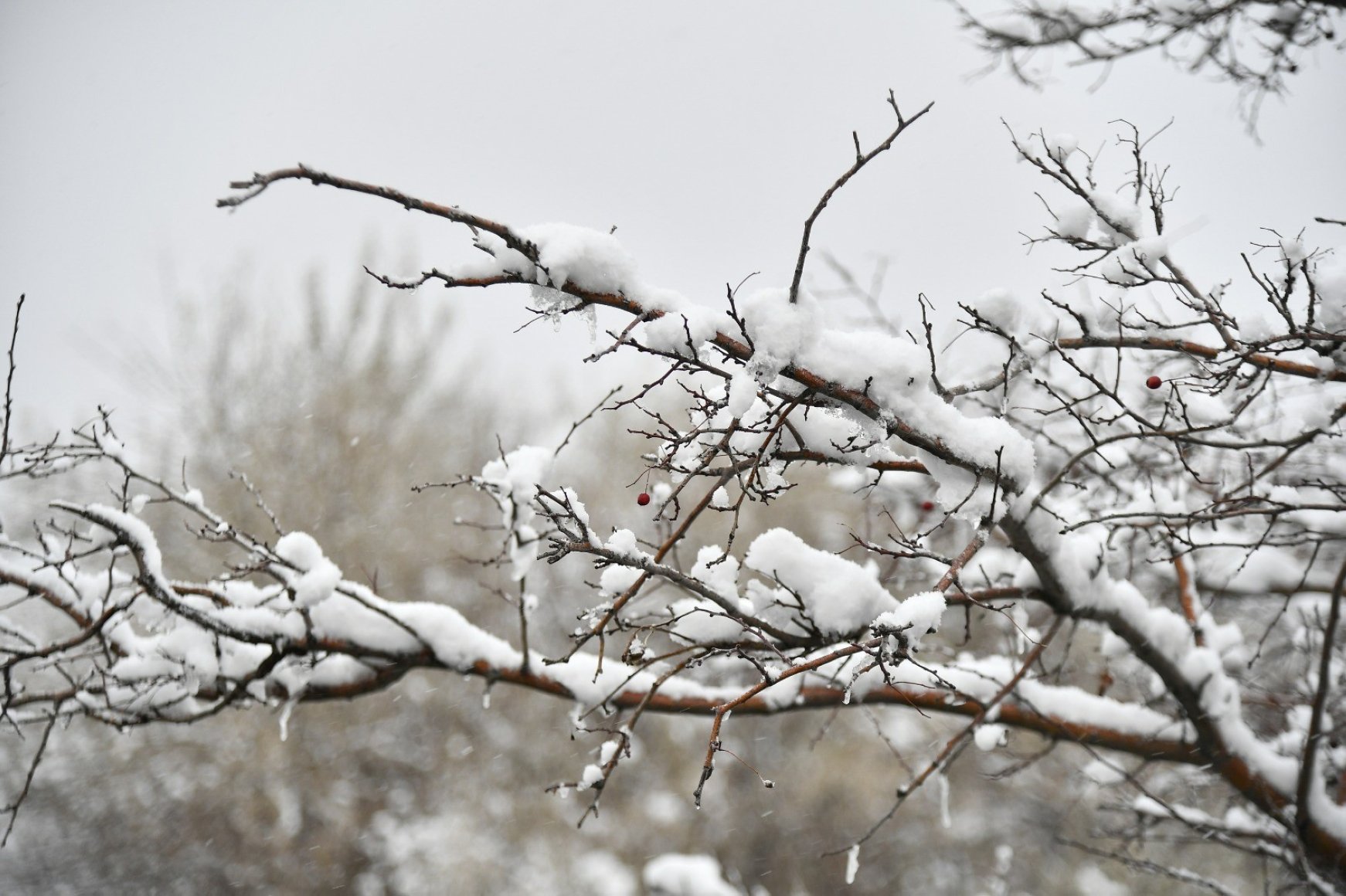 Snow turns Turkey into winter spectacle | Daily Sabah