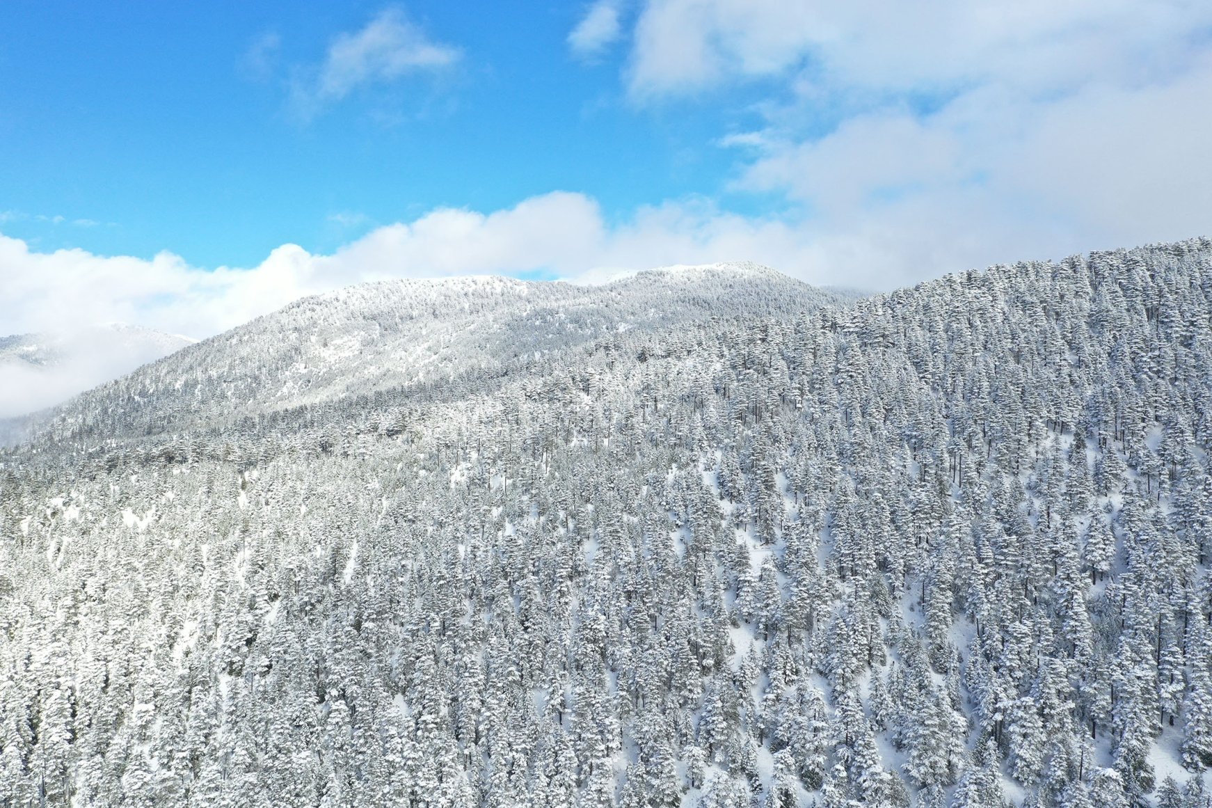 Snow turns Turkey into winter spectacle | Daily Sabah