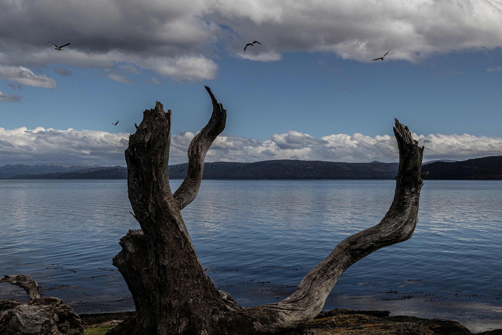 From viruses to whales: Scientists study climate change at 'end of the ...