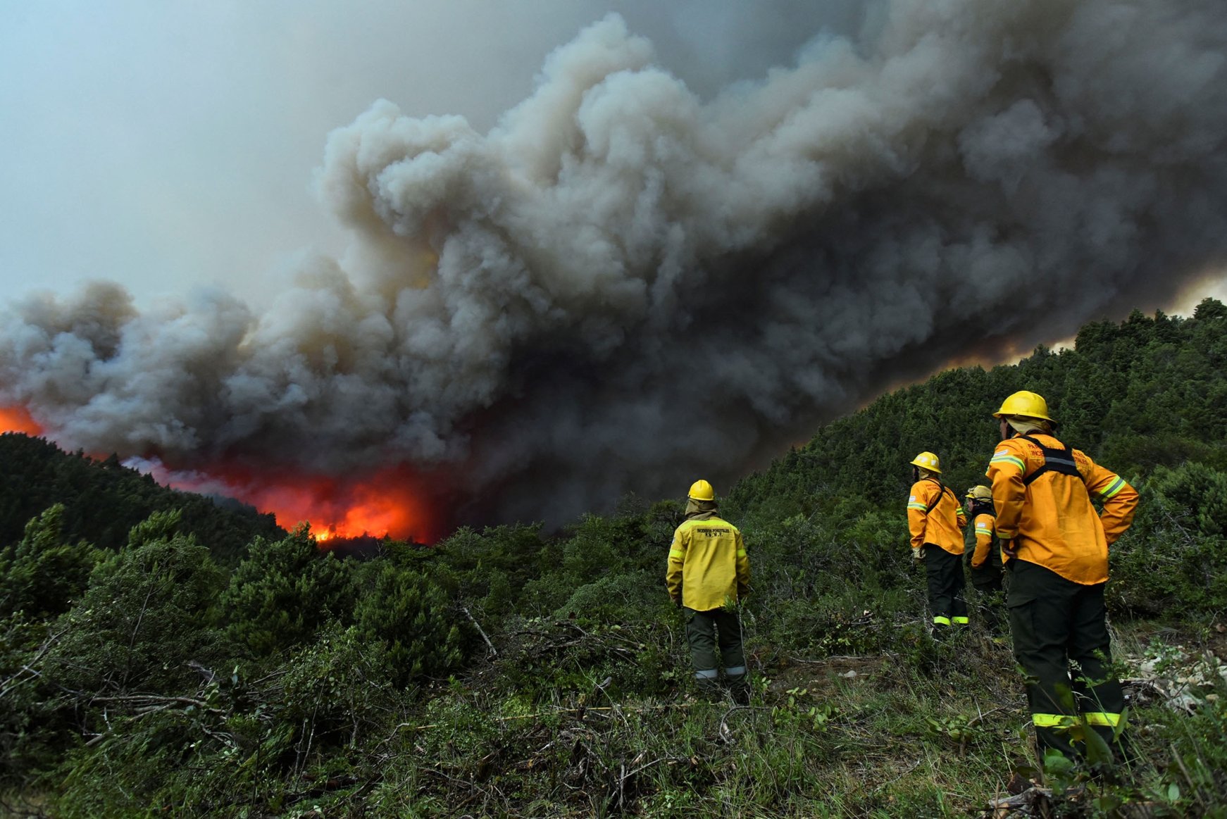 Fire rages for weeks in Argentina's Patagonia | Daily Sabah