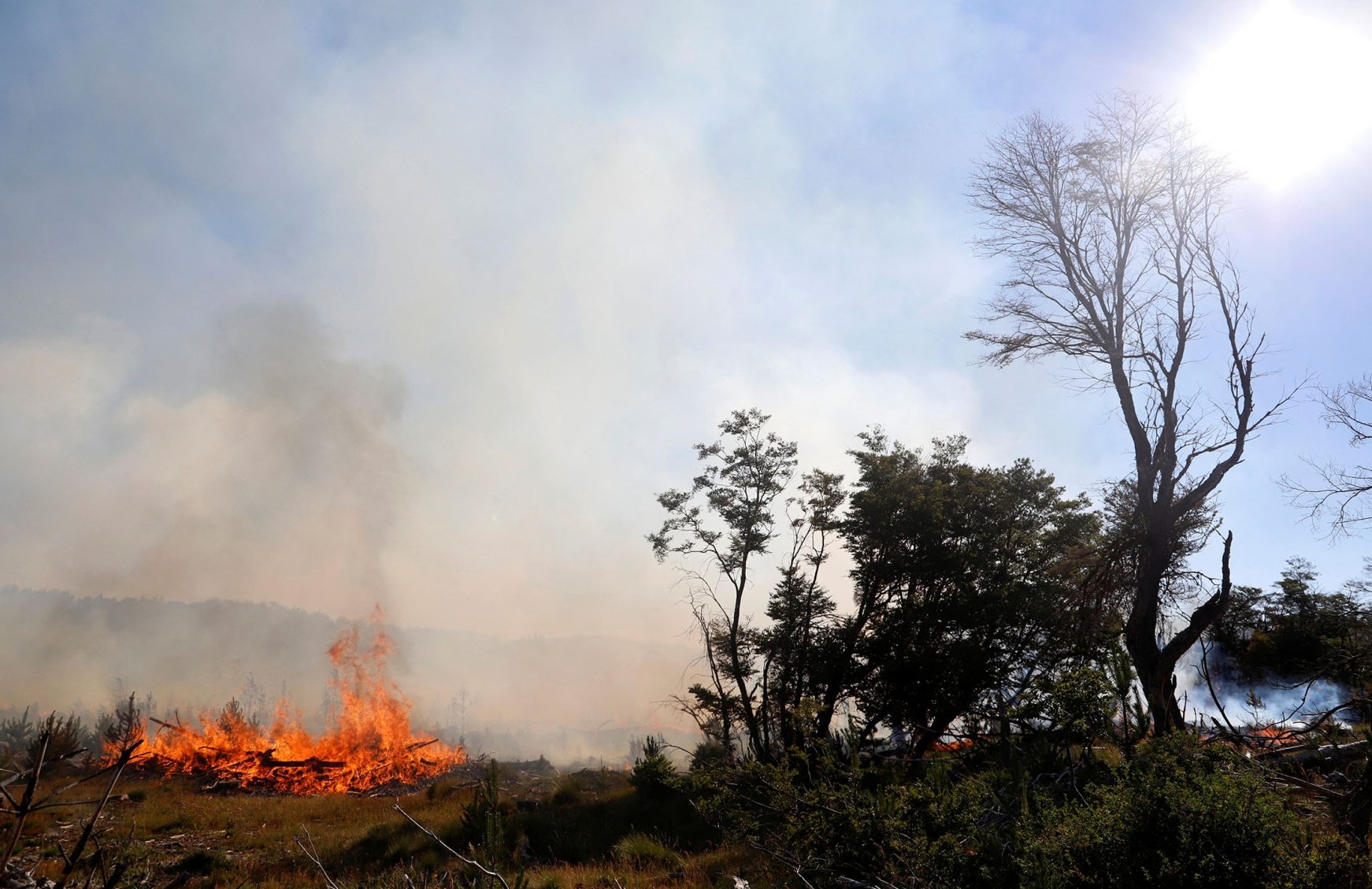Fire rages for weeks in Argentina's Patagonia | Daily Sabah