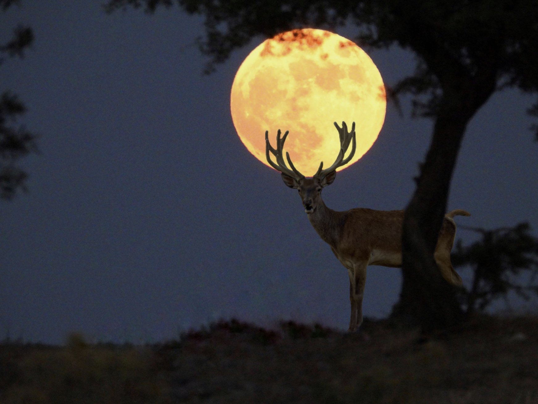 12 months, 12 faces: 2021's full moons in Turkey | Daily Sabah