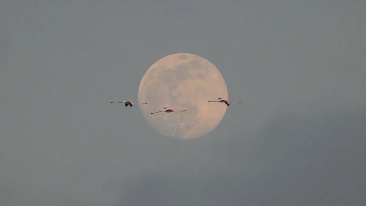 12 months, 12 faces: 2021's full moons in Turkey | Daily Sabah