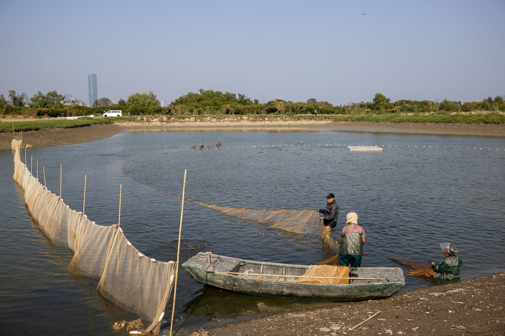 Home to birds and fish: Hong Kong's Lut Chau, wetlands at risk | Daily ...