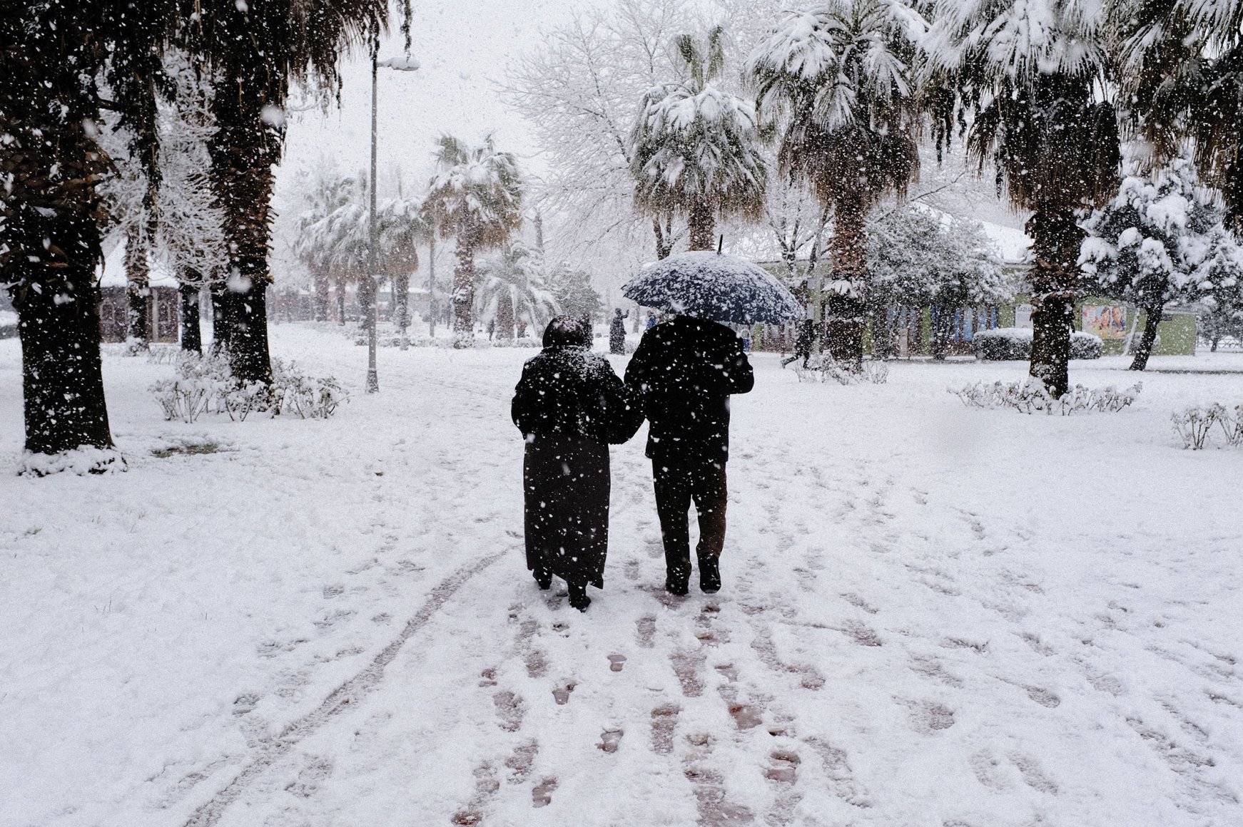Winter storms, snowfall hit large parts of Turkey | Daily Sabah