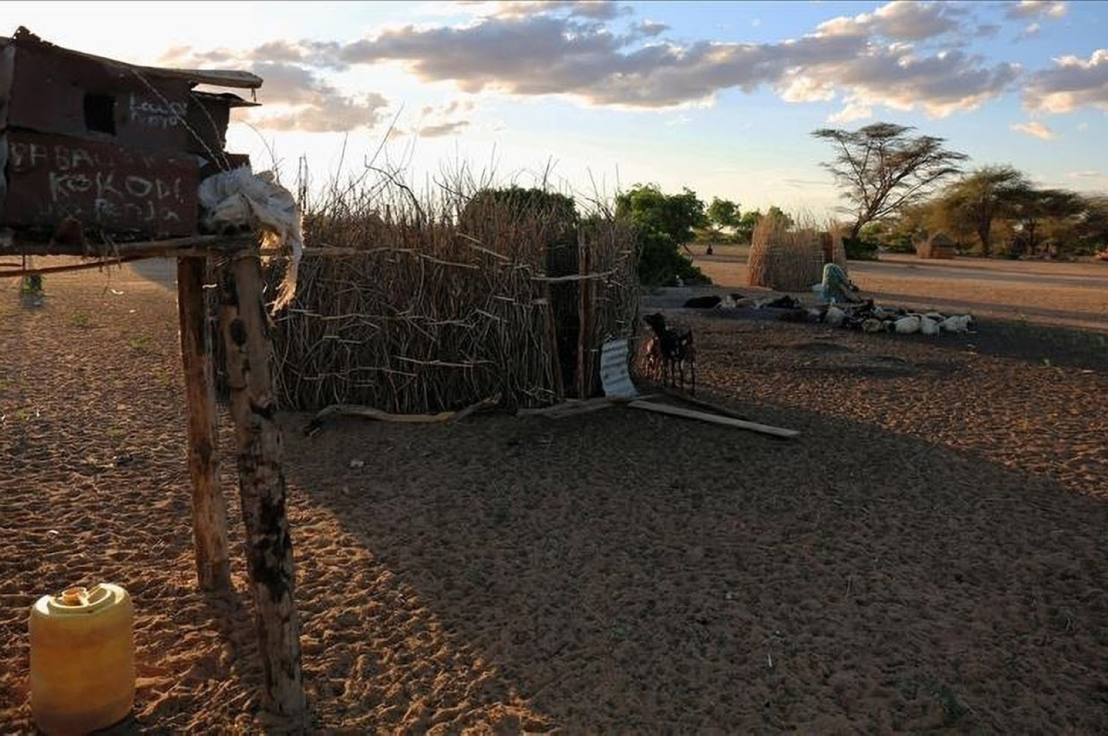 Dwindling water resources cause deadly clashes in Tanzania | Daily Sabah