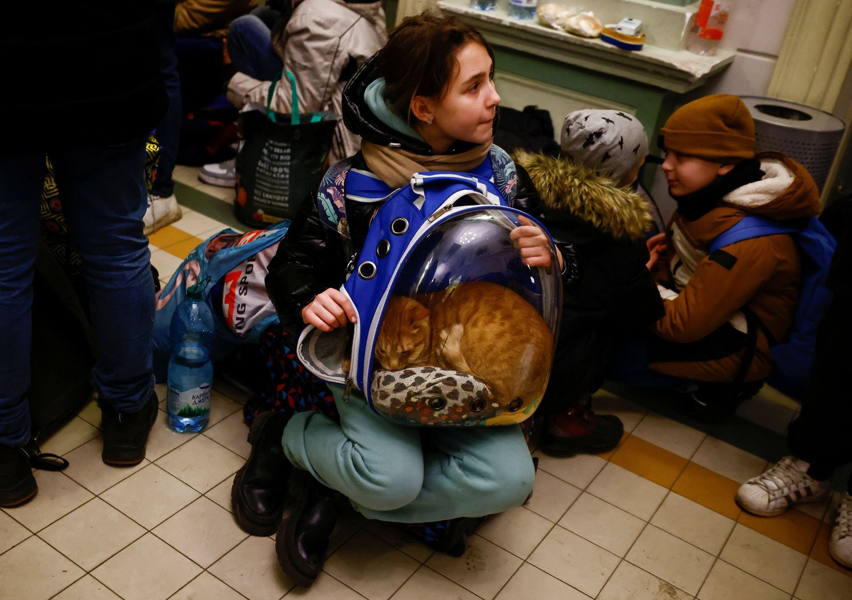 No one left behind: Leaving Ukrainians take pets along | Daily Sabah