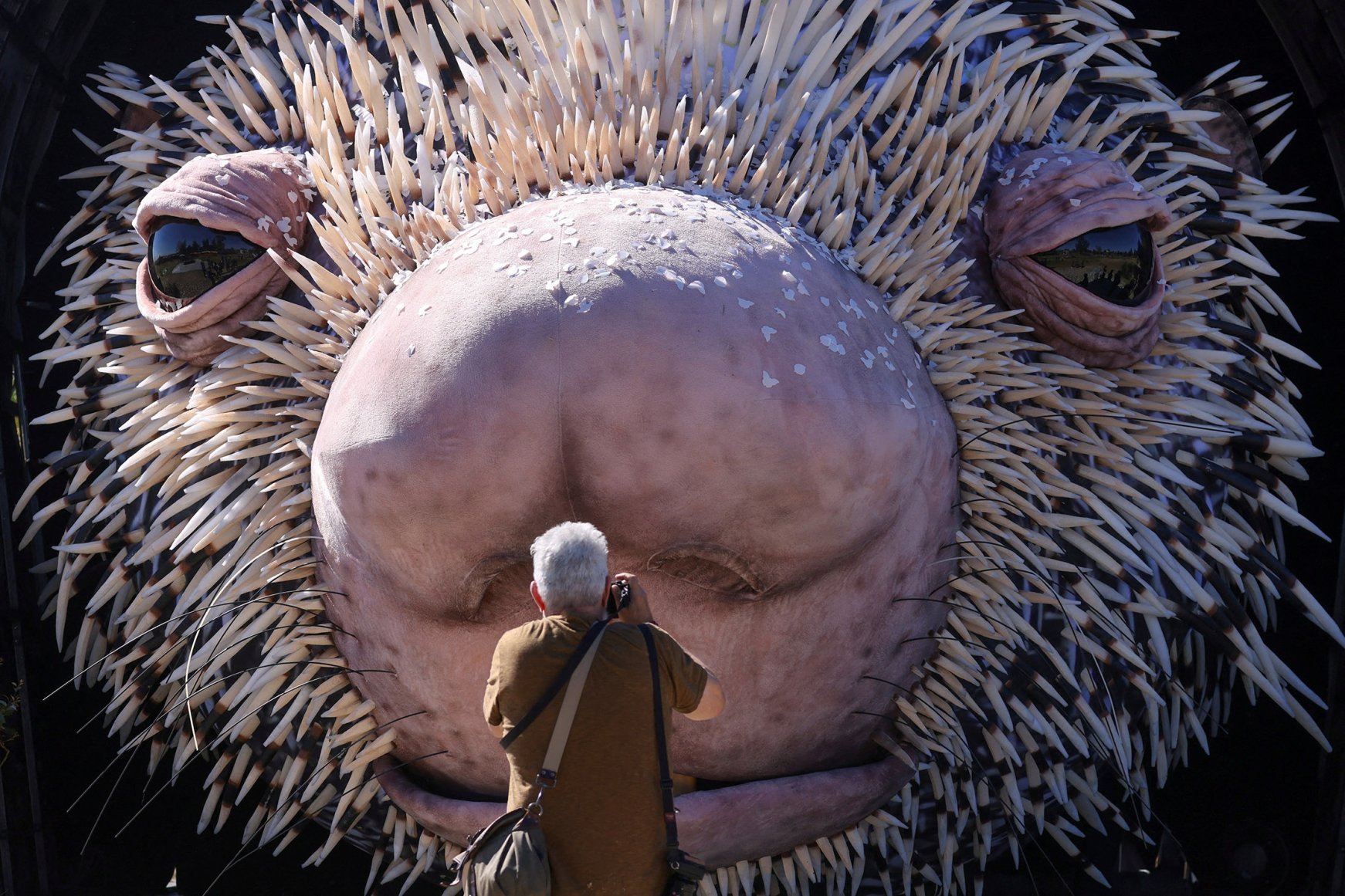 Ukraine, giant porcupine puppet and bodypaint: Weekly top photos ...