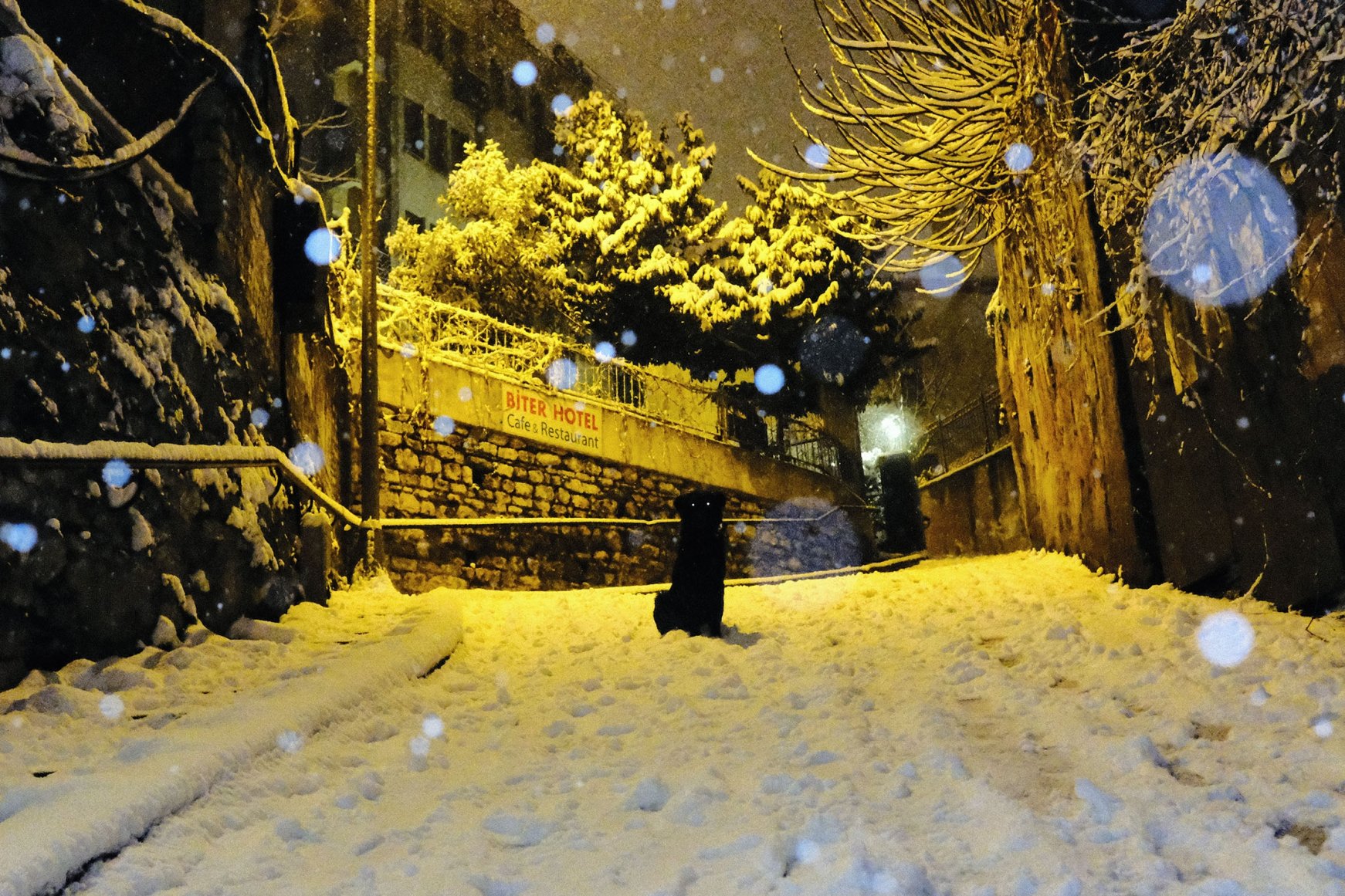Snowstorm hits Istanbul, coating Turkey's biggest city in white | Daily ...