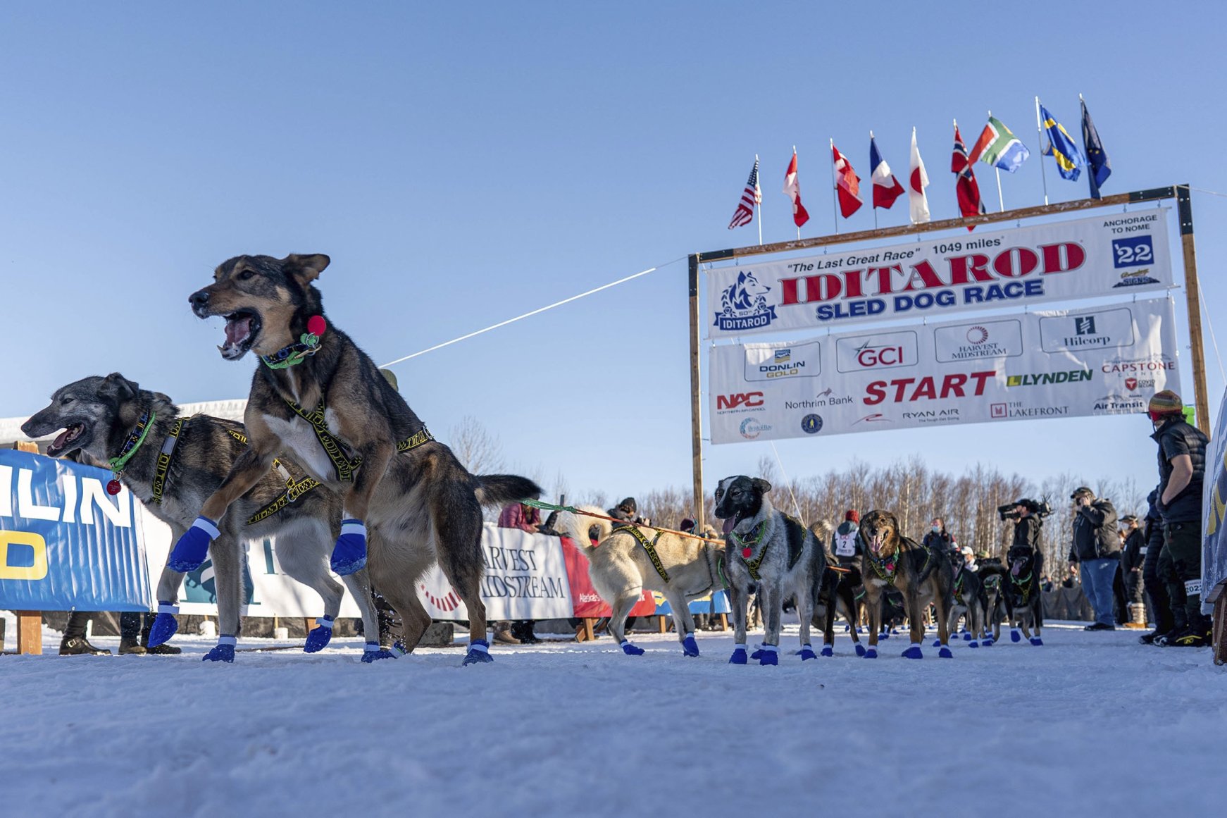 1,049 miles of ice and snow: Best of Iditarod 2022 Sled Dog Race ...