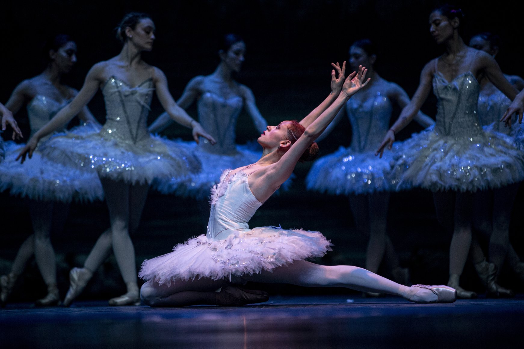 Turkish dancers' fresh take on reinterpreted 'Swan Lake' | Daily Sabah