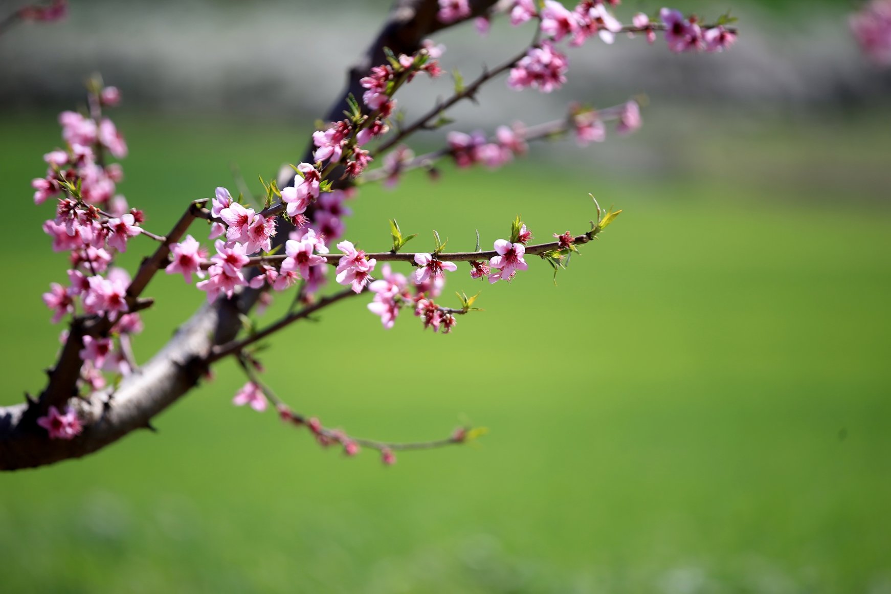 Fog, anti-frost candles and a balloon tank: Weekly top photos | Daily Sabah