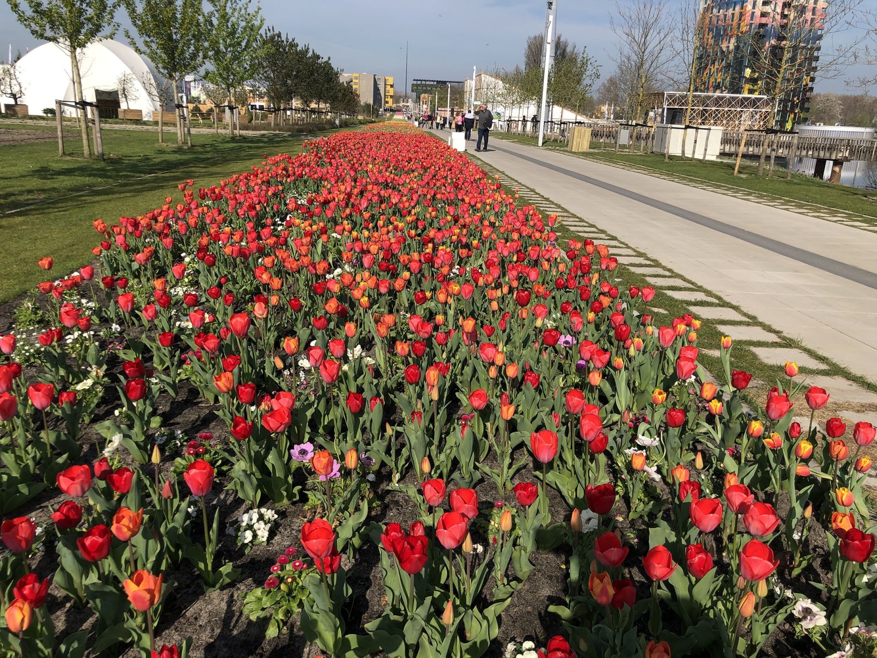 Every ten years: Floriade Expo 2022 in Netherlands | Daily Sabah