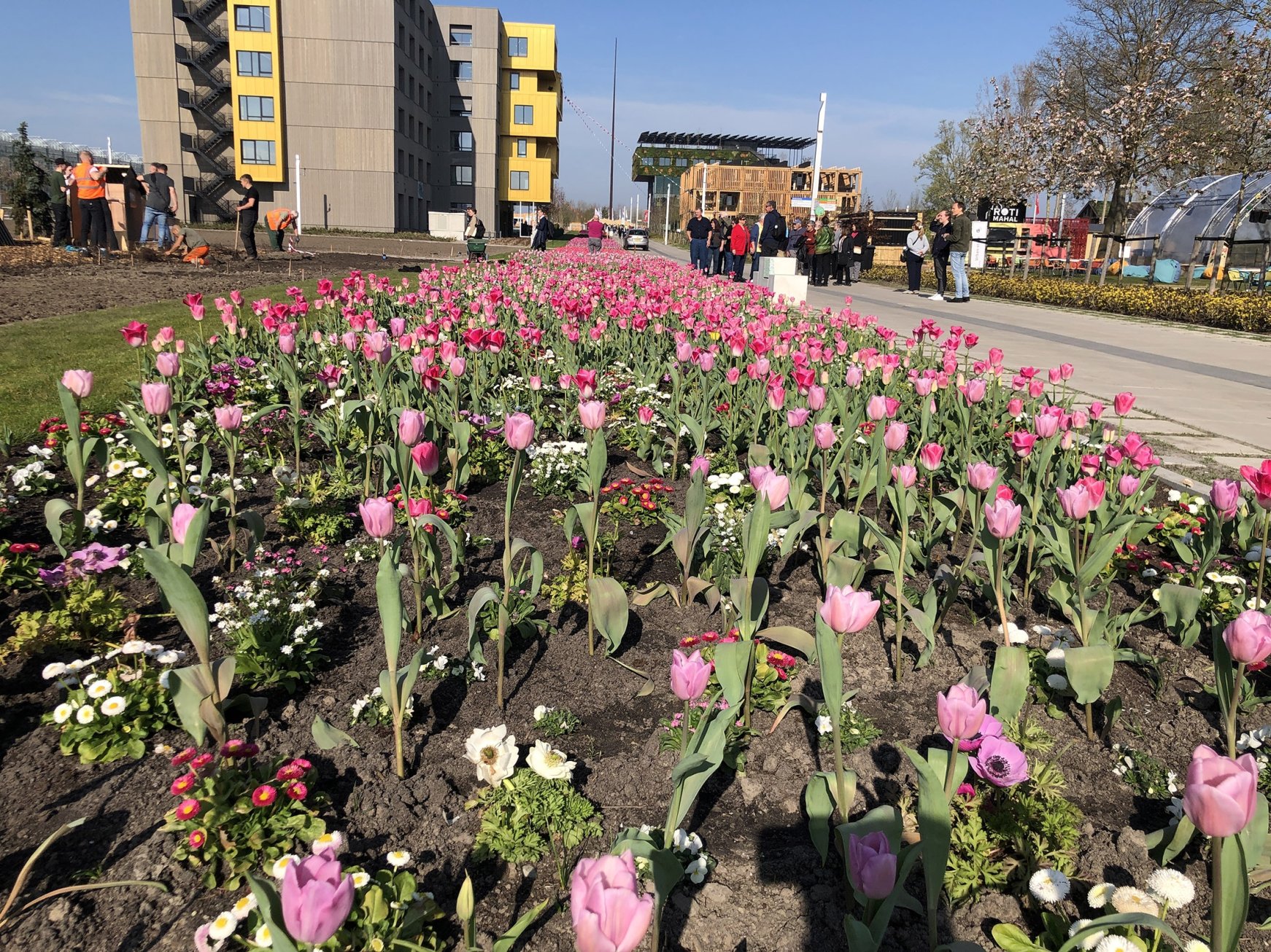 Every ten years: Floriade Expo 2022 in Netherlands | Daily Sabah