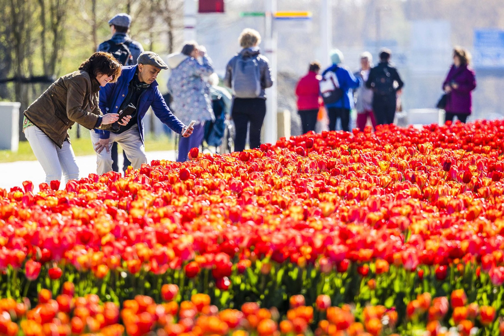 Every ten years: Floriade Expo 2022 in Netherlands | Daily Sabah