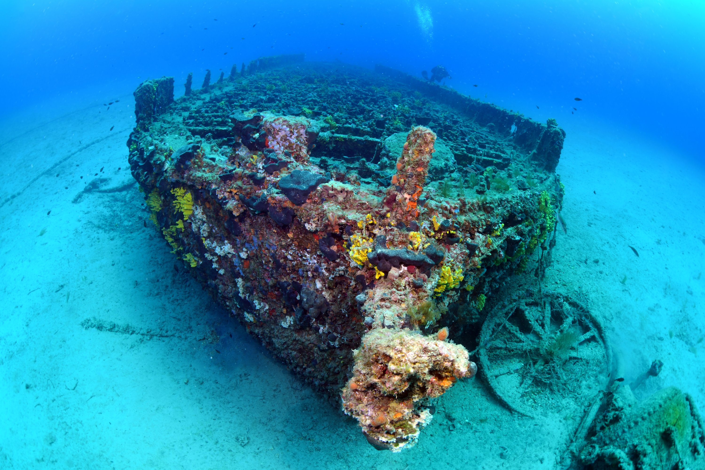 Shipwreck Of Royal Navy Vessel HMS Majestic Shot In Turkey Daily Sabah Shipwreck Of Royal Navy Vessel HMS Majestic Shot In Turkey Daily Sabah
