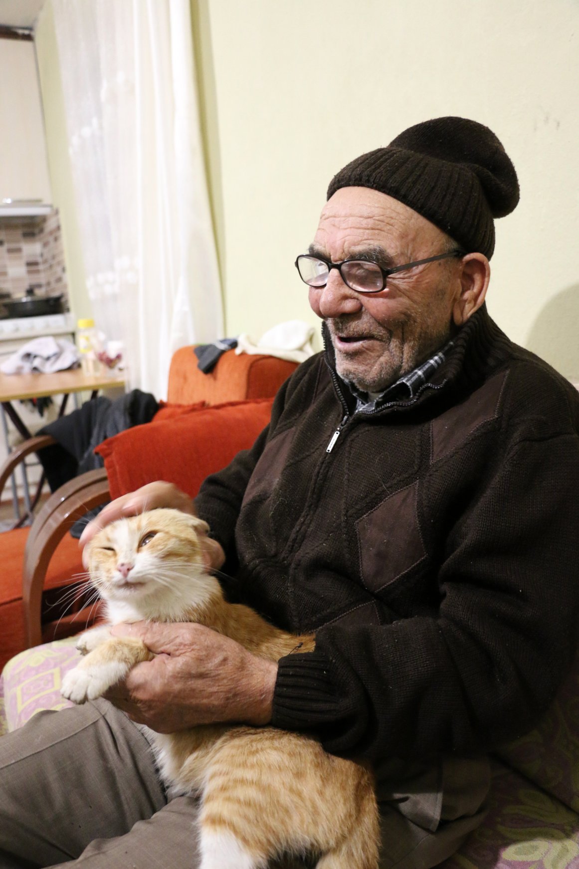 Cattitude: 10 Turkish cats that stole headlines | Daily Sabah