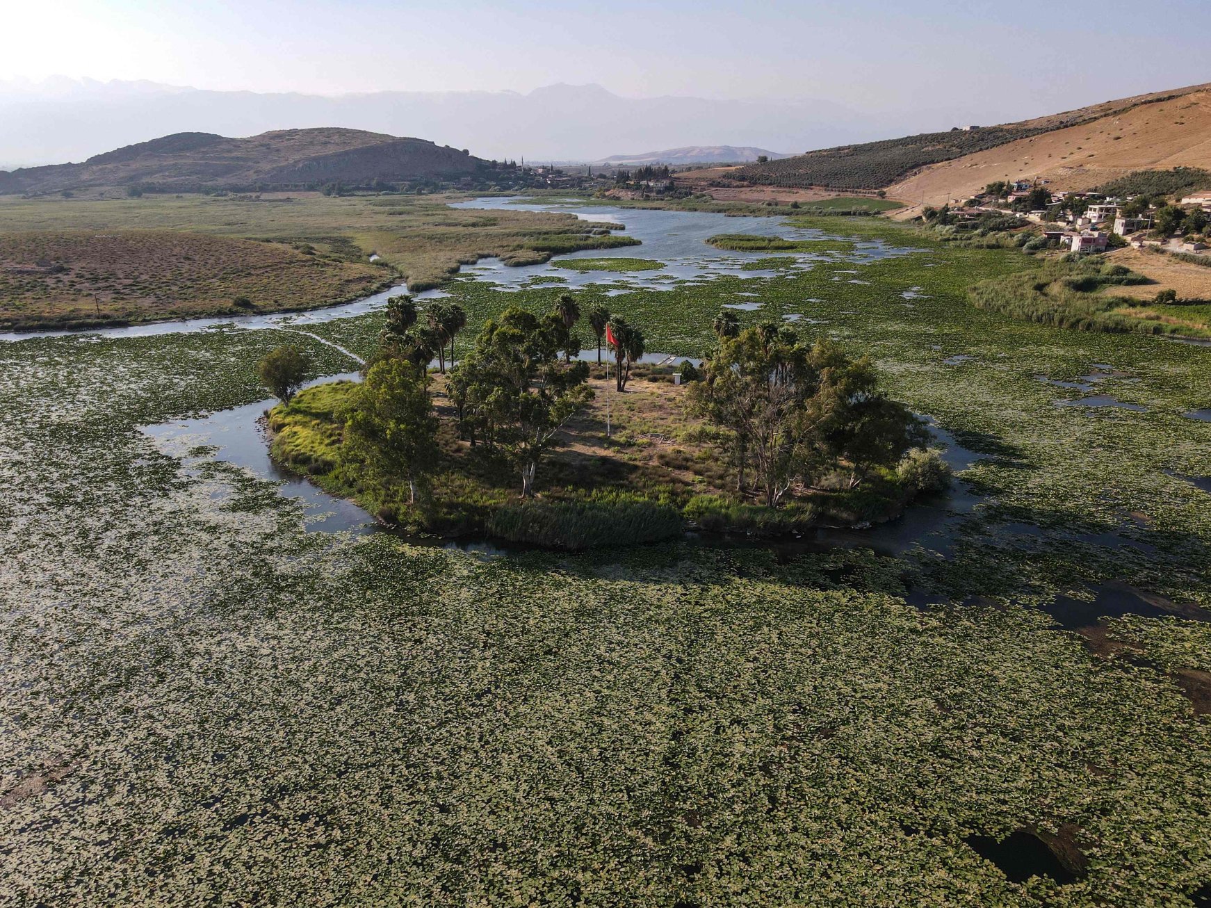 Water lilies paint Gölbaşı Lake in Hatay green | Daily Sabah