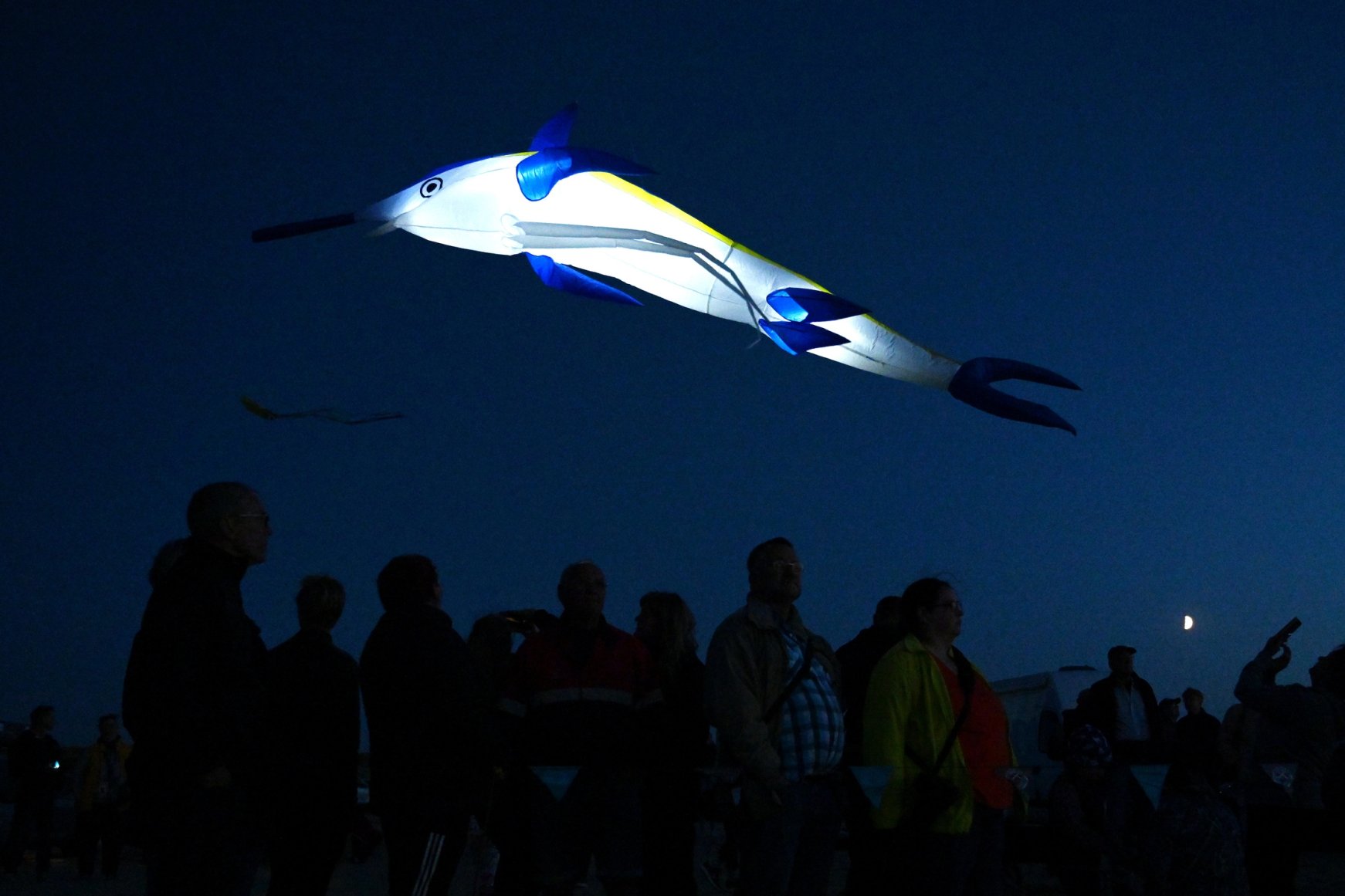 Creative kites dance in wind at Denmark's Romo festival | Daily Sabah
