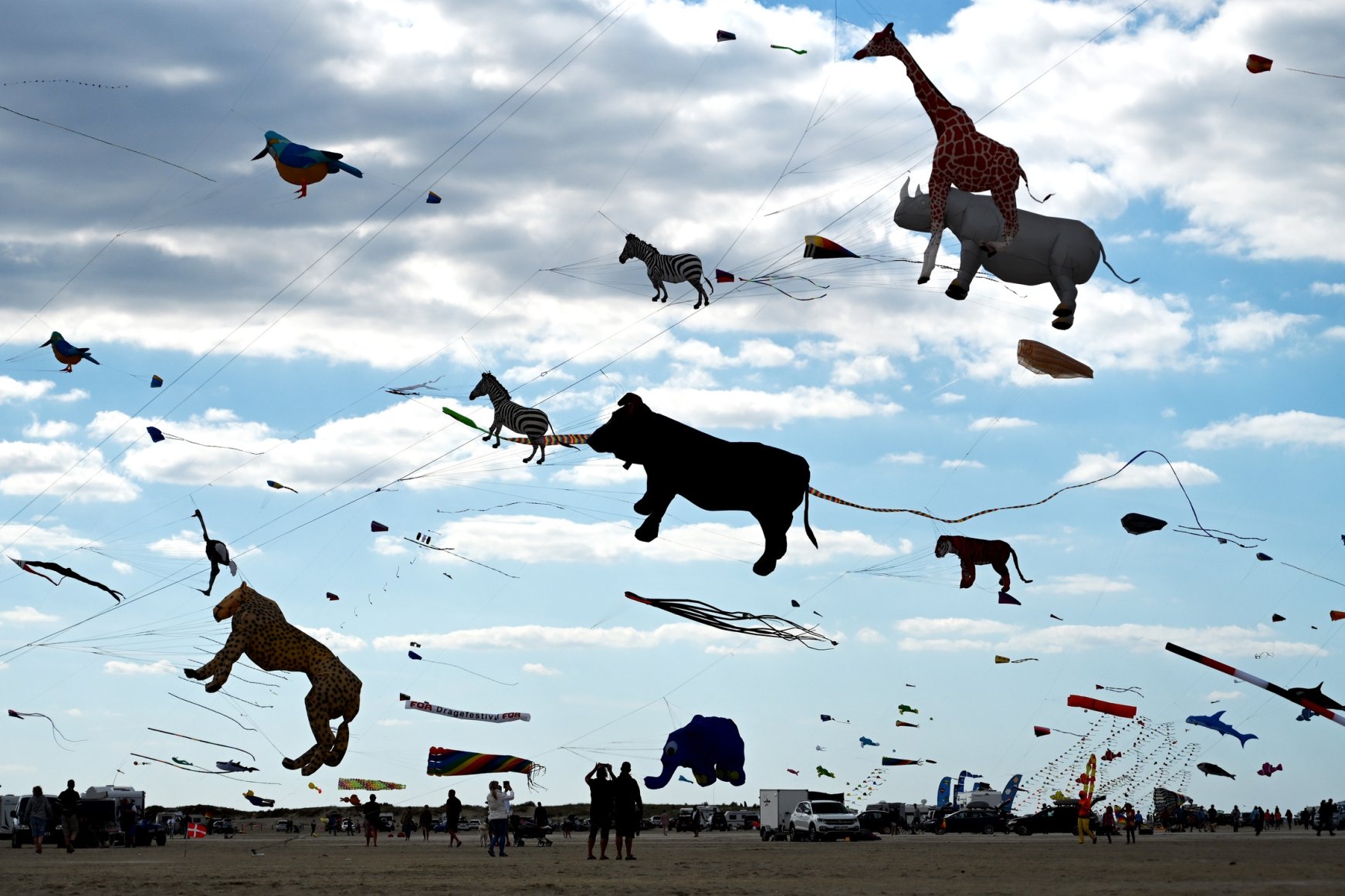 Creative kites dance in wind at Denmark's Romo festival | Daily Sabah