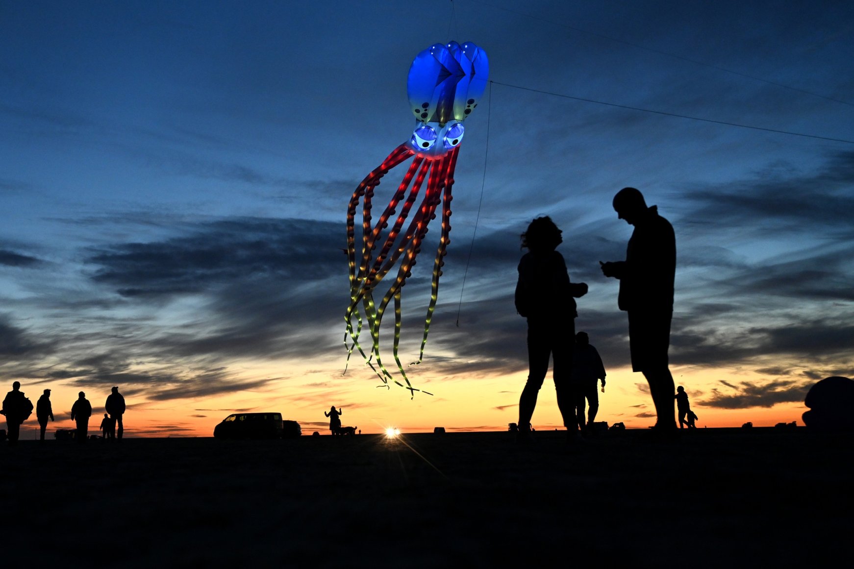 Creative kites dance in wind at Denmark's Romo festival | Daily Sabah
