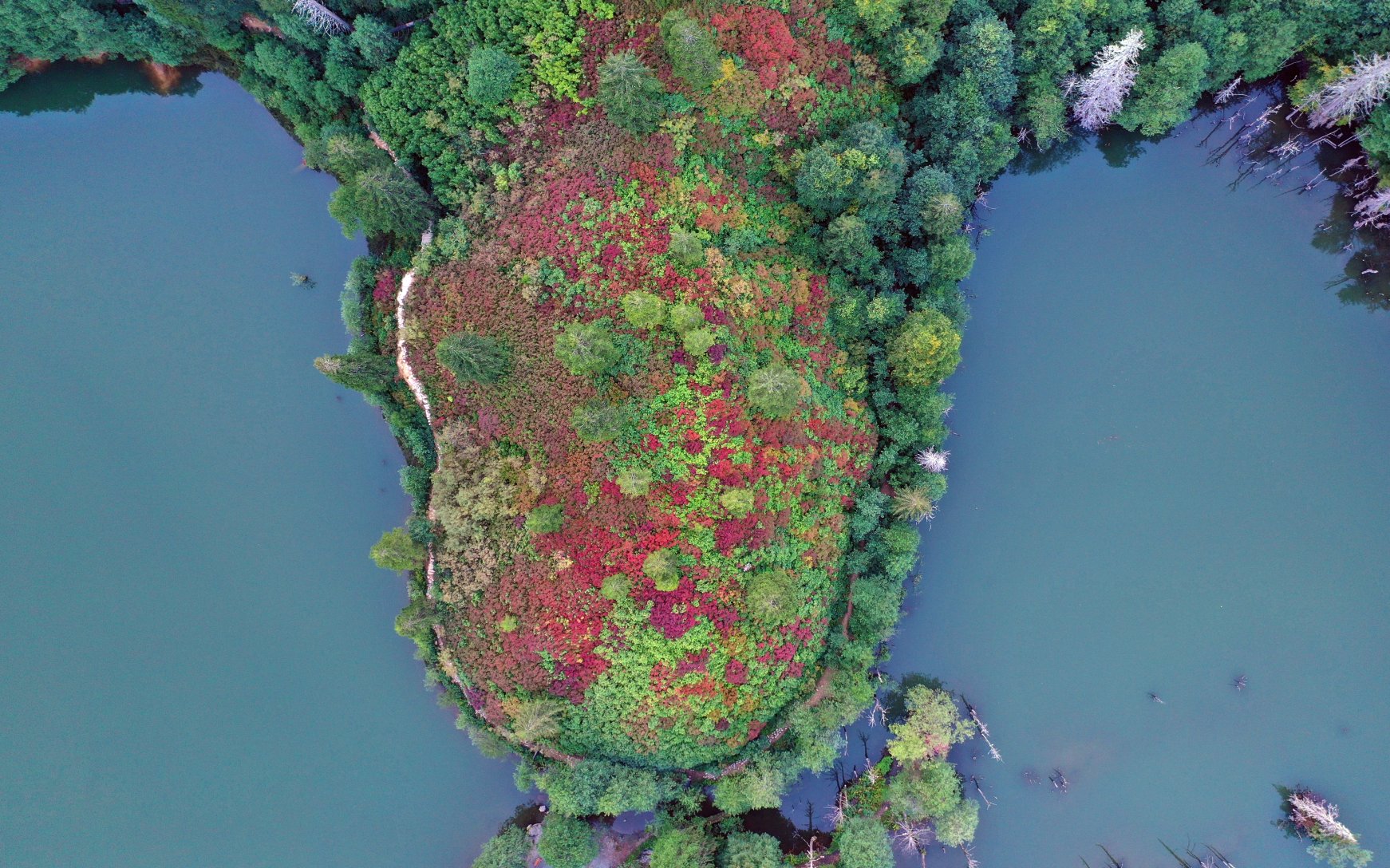 Türkiye's Borçka Karagöl Nature Park hosts 410,000 people | Daily Sabah