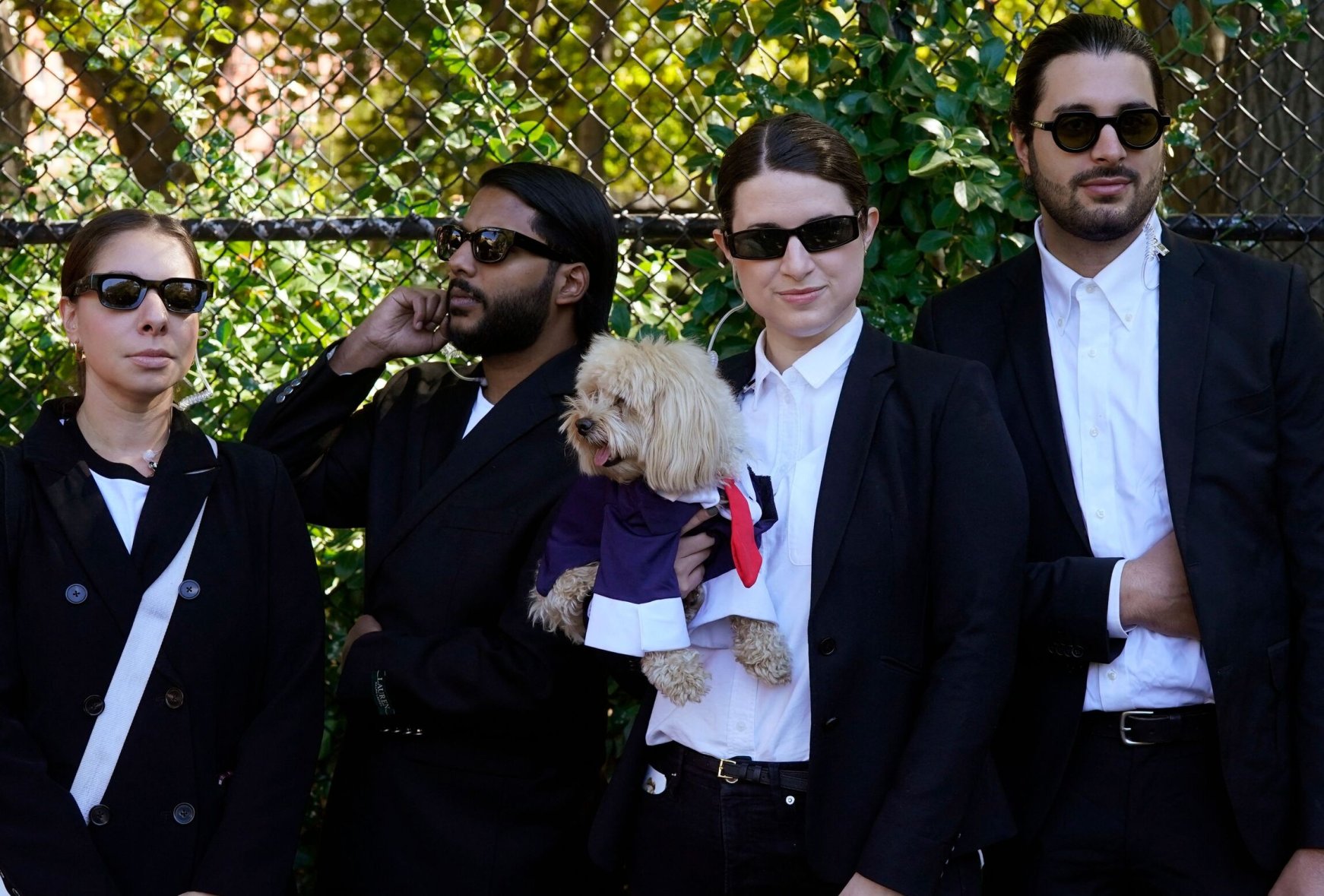 Spooktacular pups compete for best costume in NYC | Daily Sabah